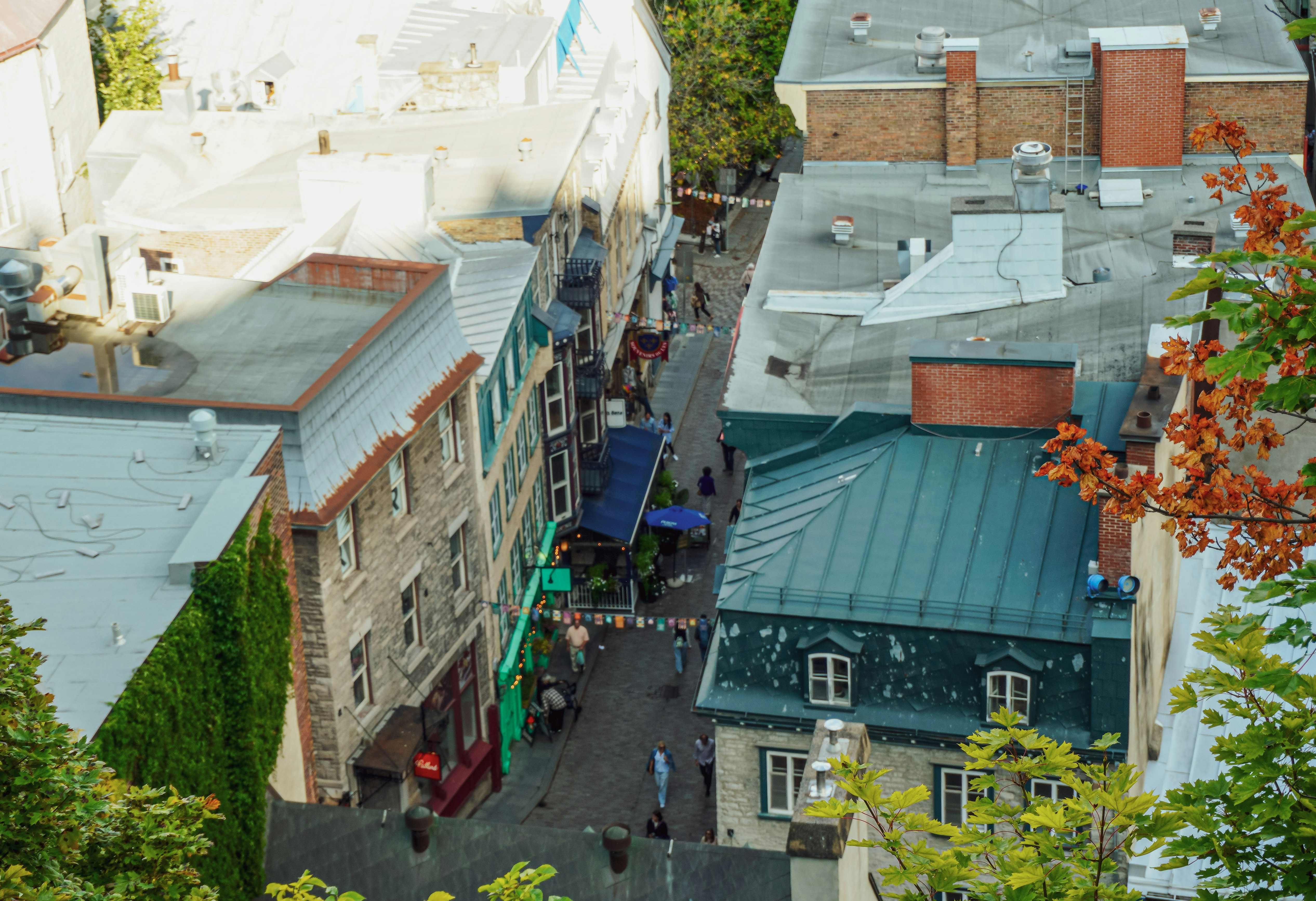Aerial Lane: Charmingly Imperfect Street of Pastel Neighbors