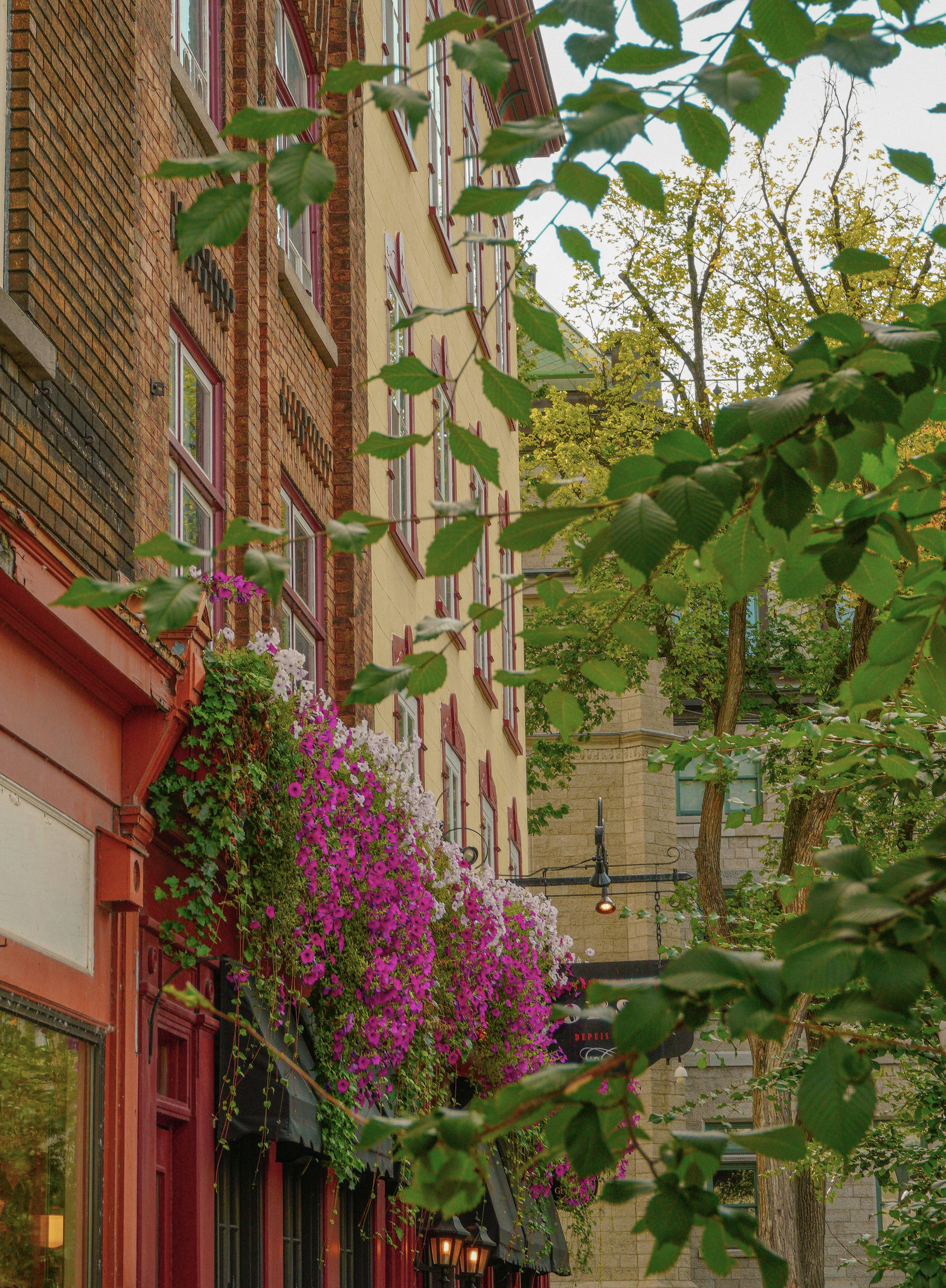 Floral Fade Along a Brick Lane