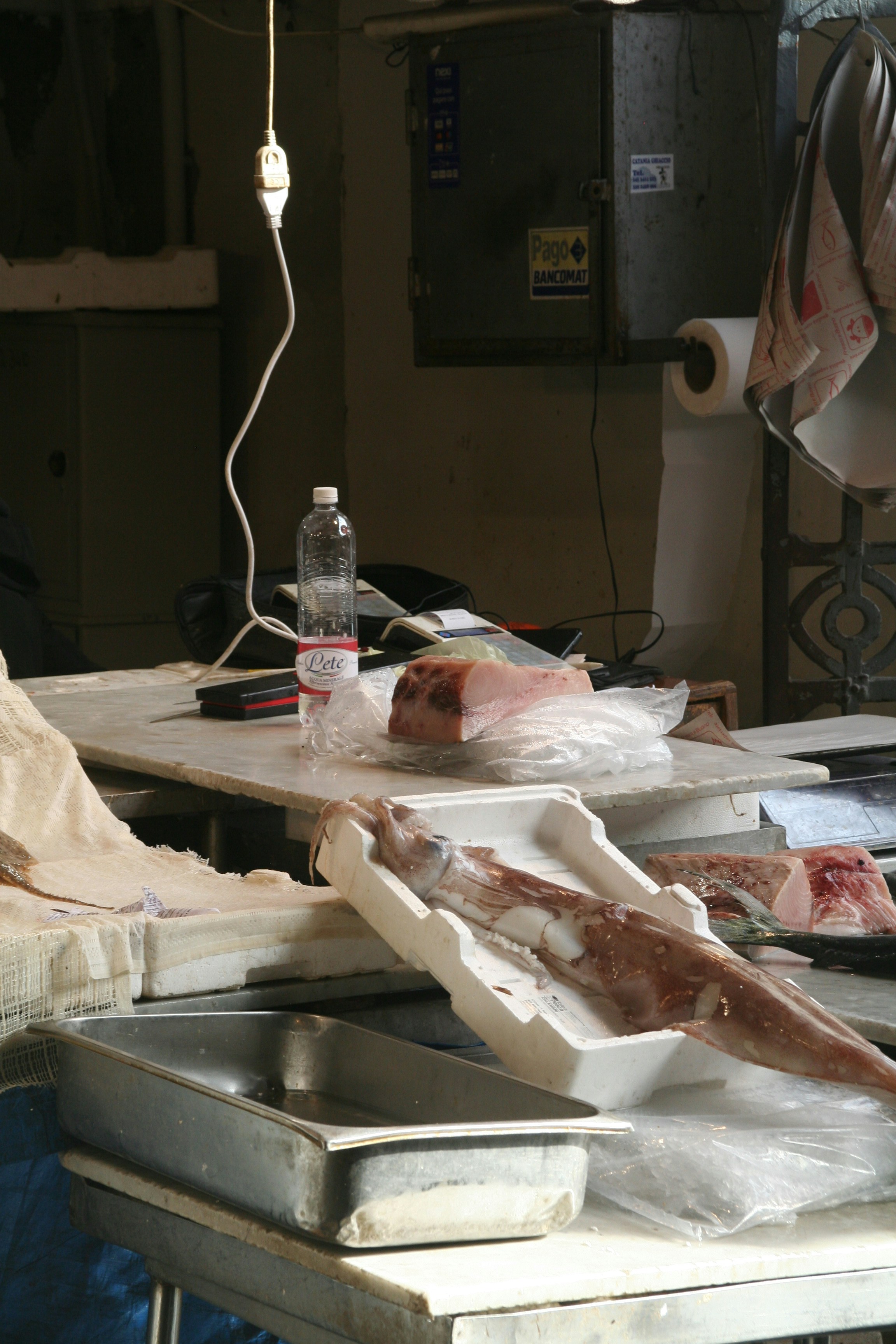 Cold Light over the Butcher's Counter: Raw Edges and Everyday Objects