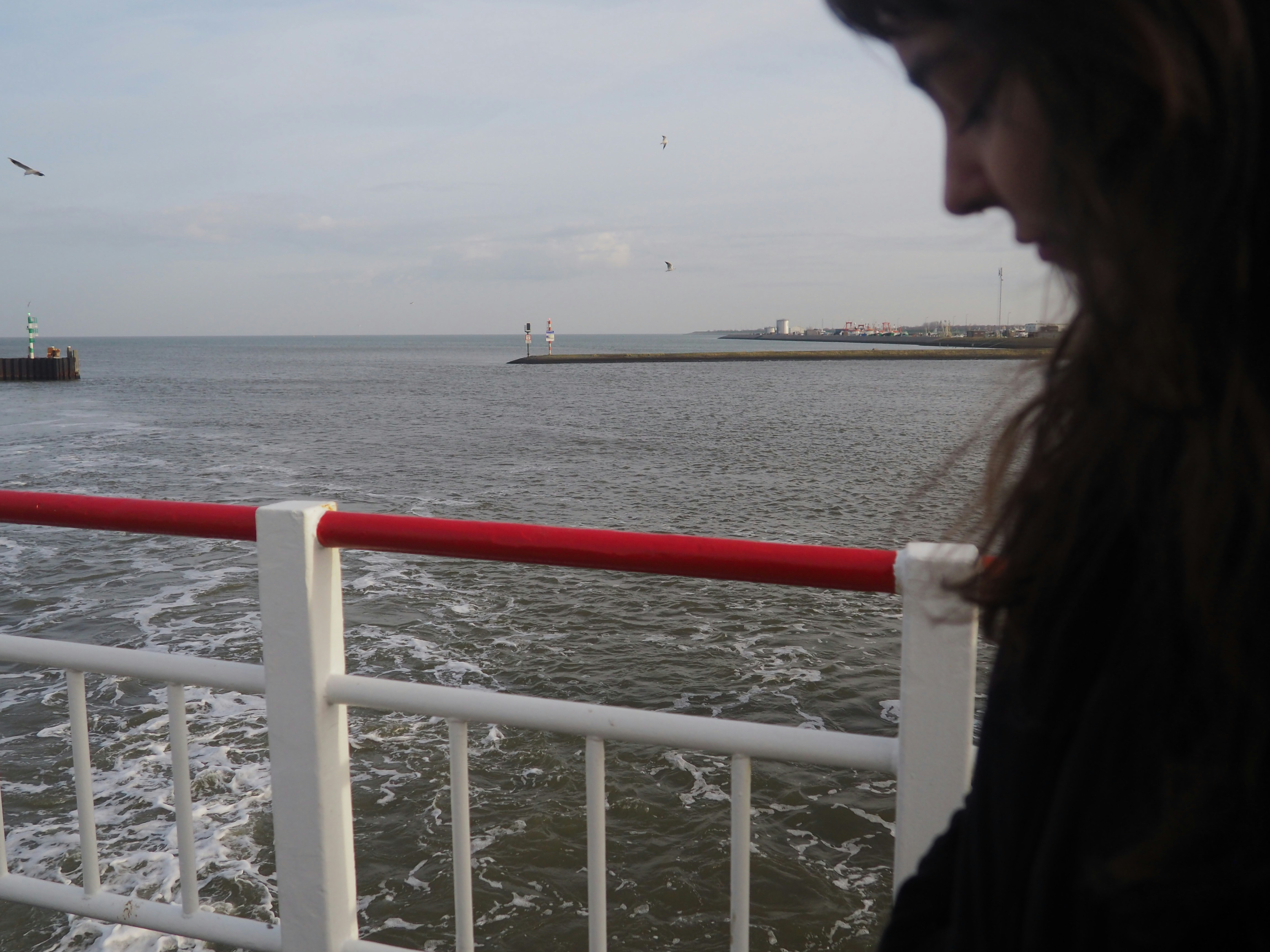 Quiet Horizon: Coastal Barrier and a Hidden Figure