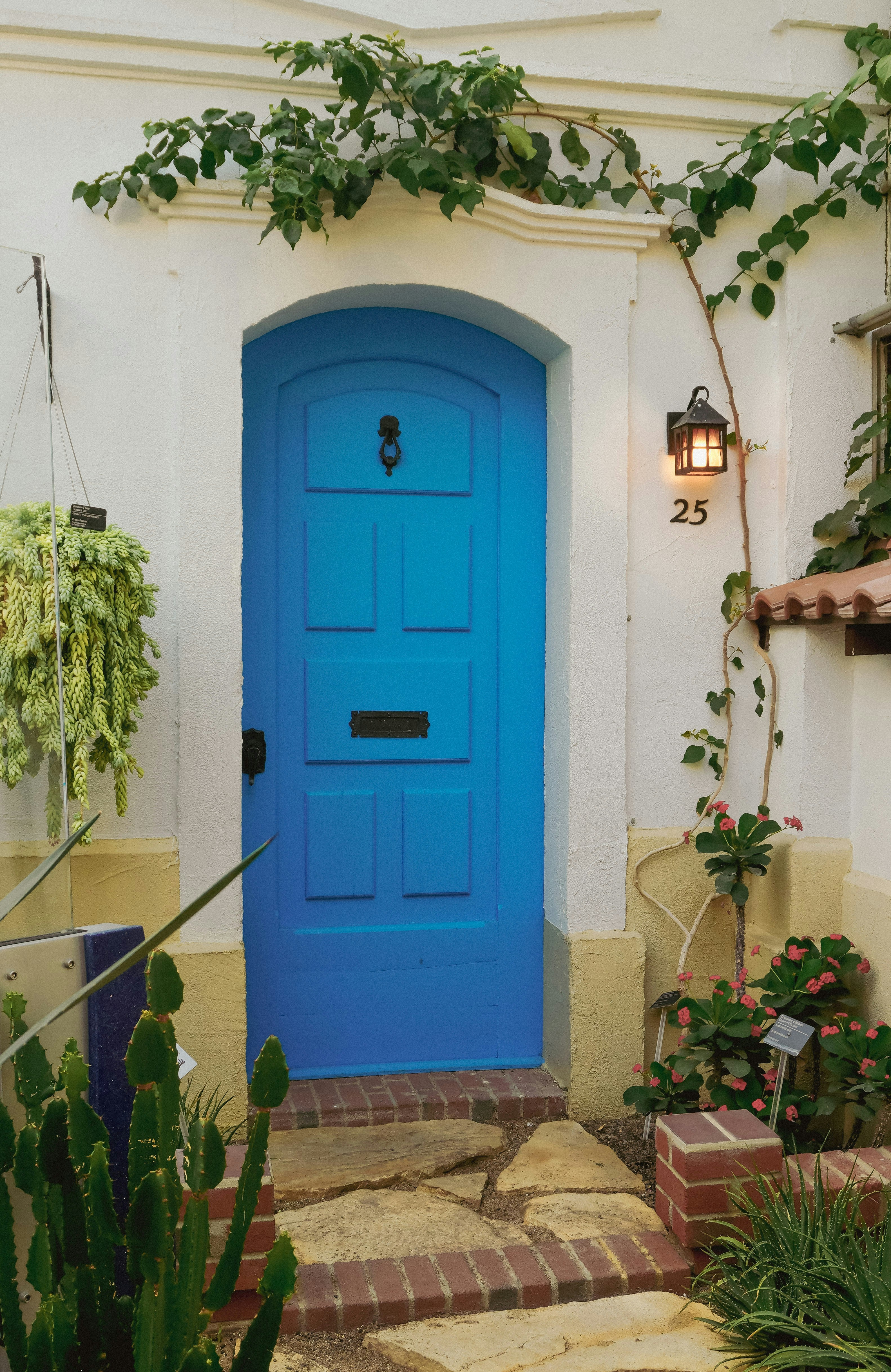 Azure Portal: A Bold Blue Door Framed by Olive Ivy and Warm Stucco