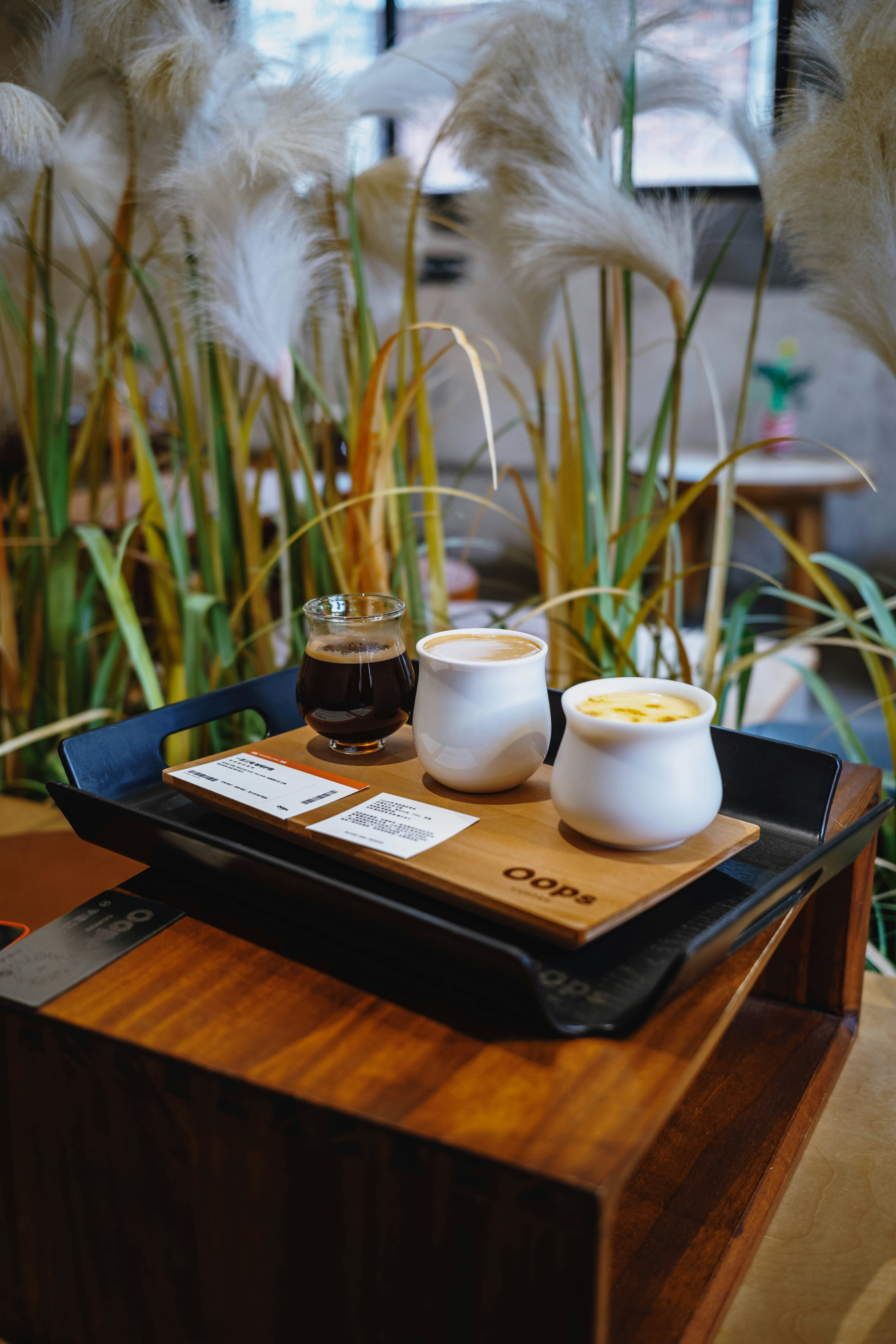 Triptych of Warmth: A Tray of Coffees in Dappled Light