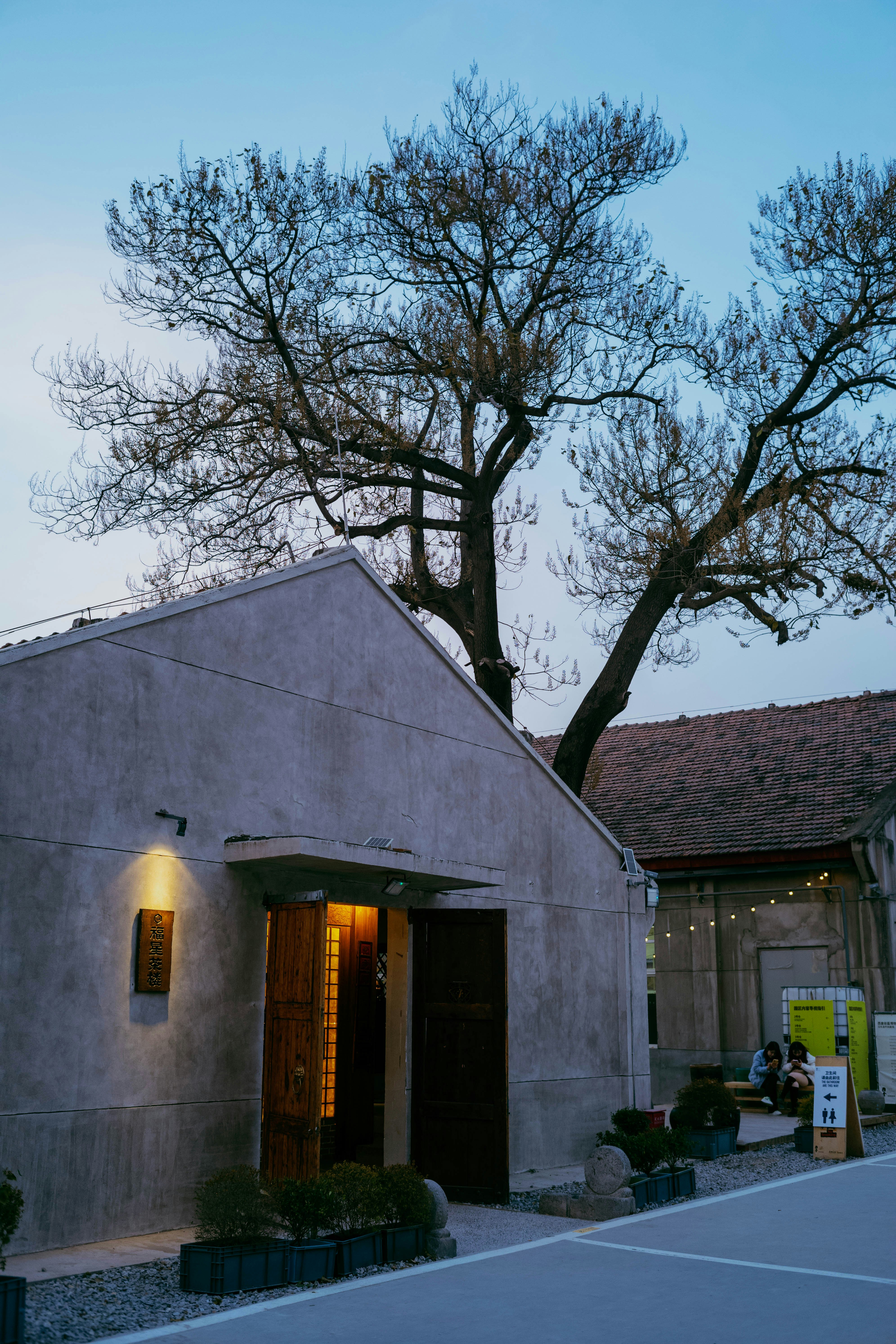 Bare tree branches above a building entrance at dusk. photo – Free ...