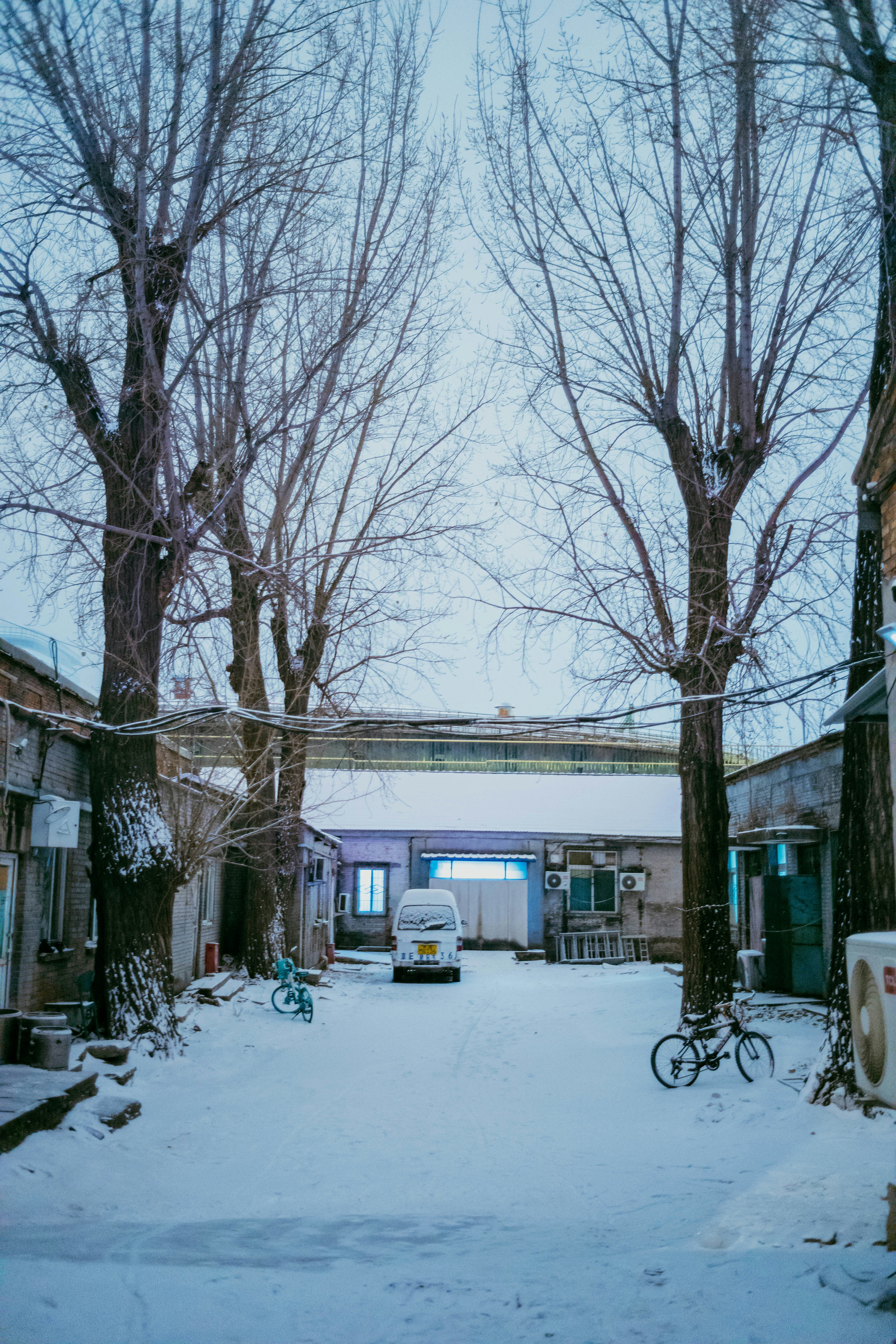 Snowbound Courtyard: A Quiet Backstreet Framed by Leafless sentinels