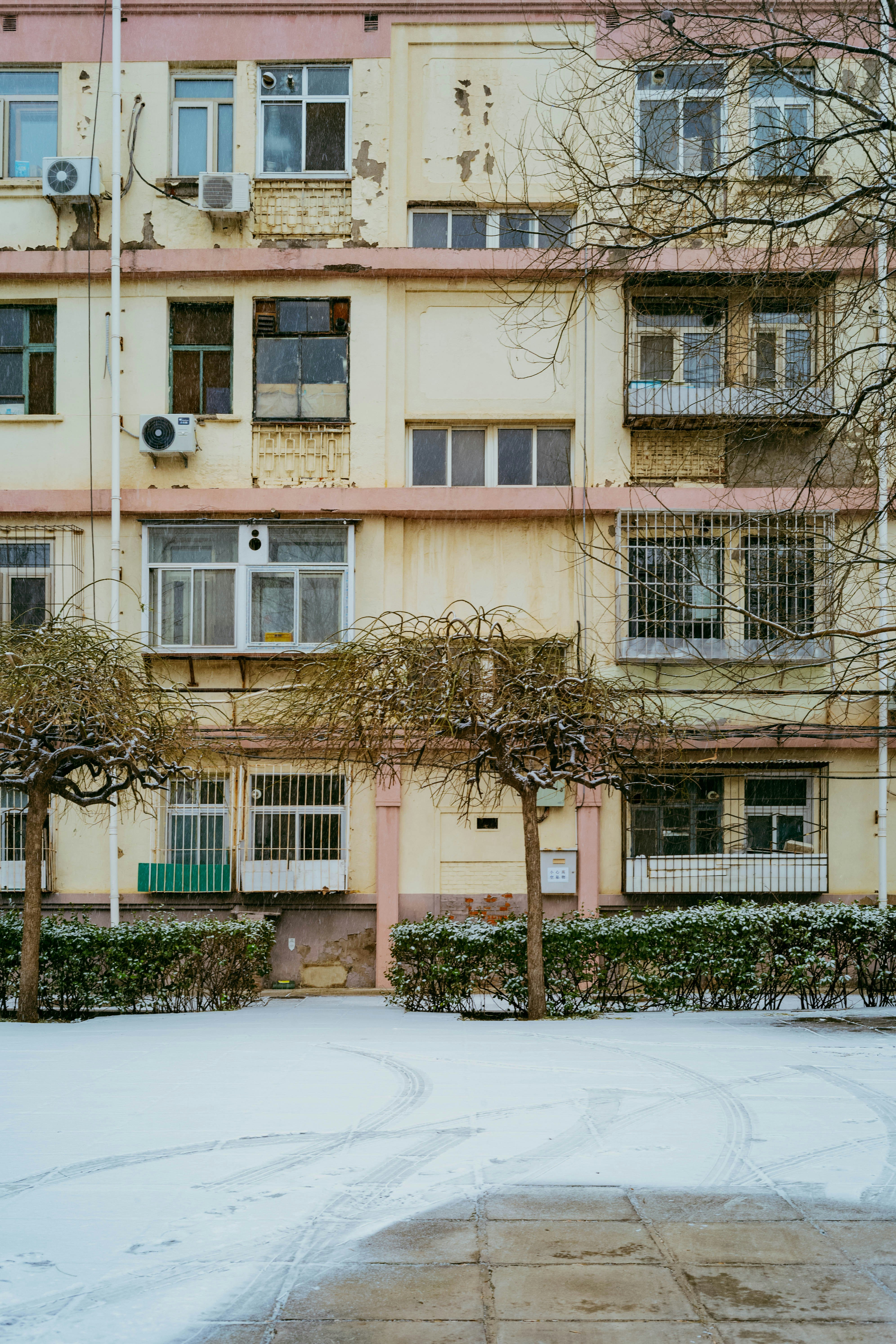 Winter Facade: A Quiet Street-Level Portrait of a Painted Apartment Block