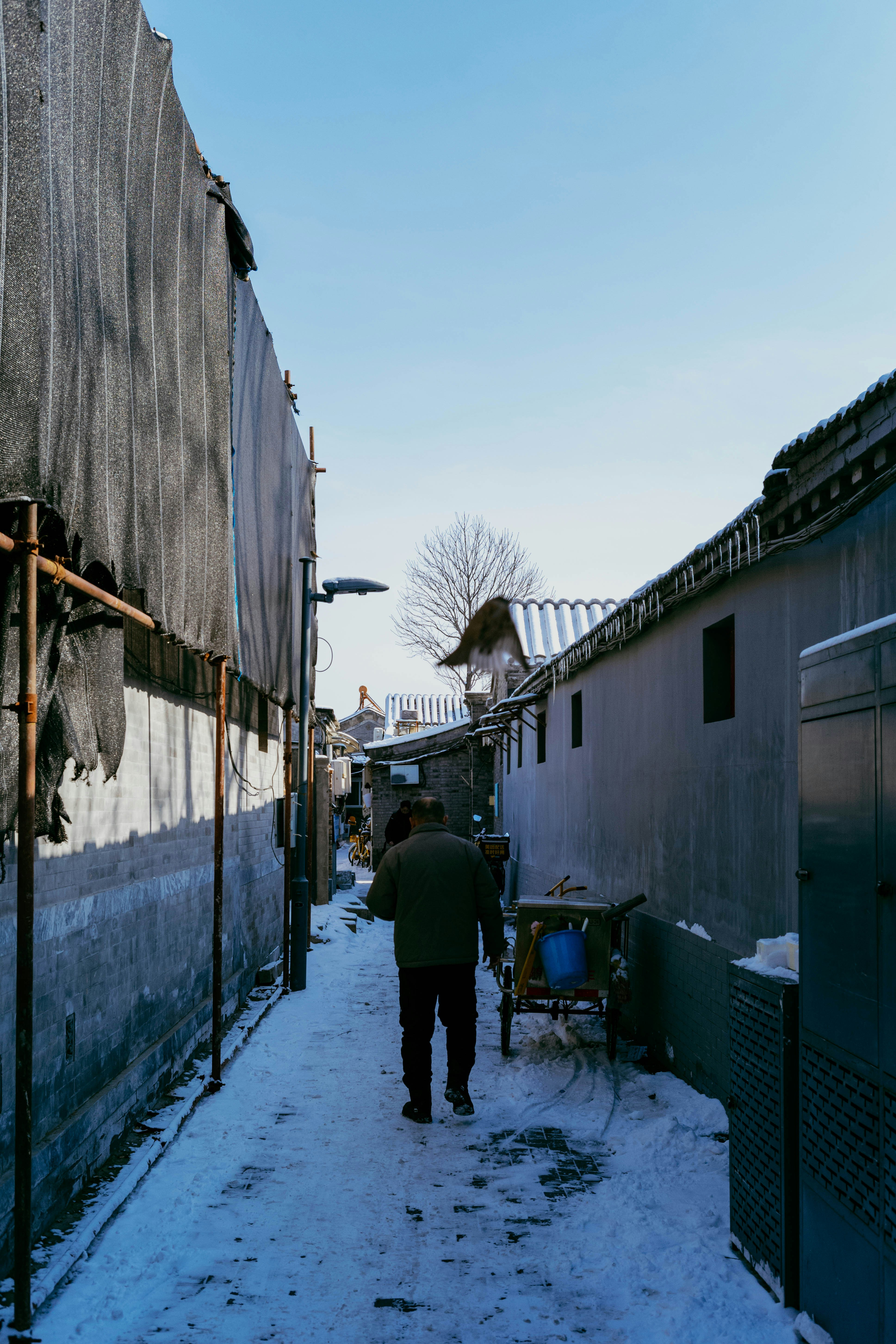 Snowbound Alleyway Wanderer