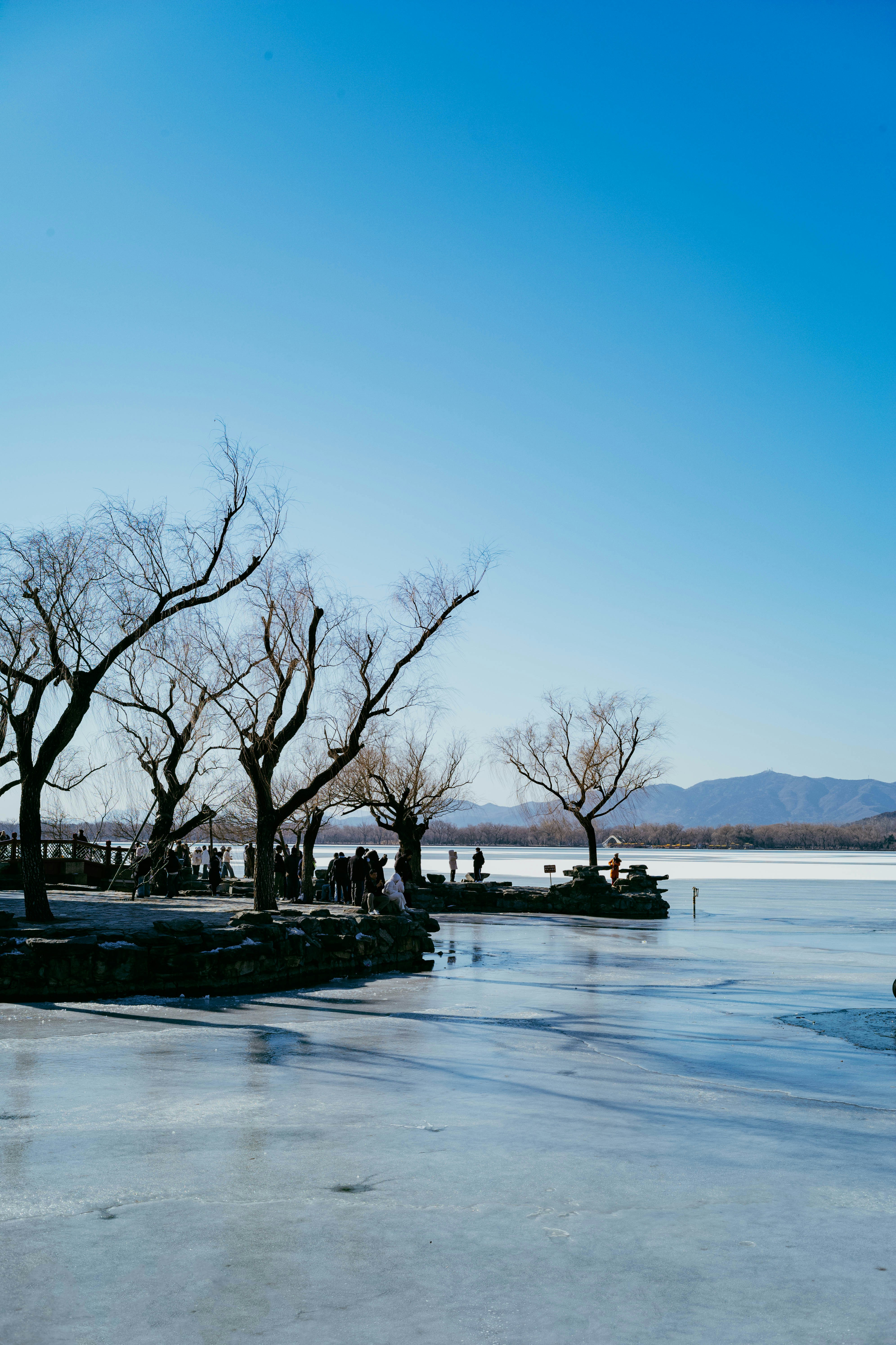 Winter Promenade by the Icy Lake