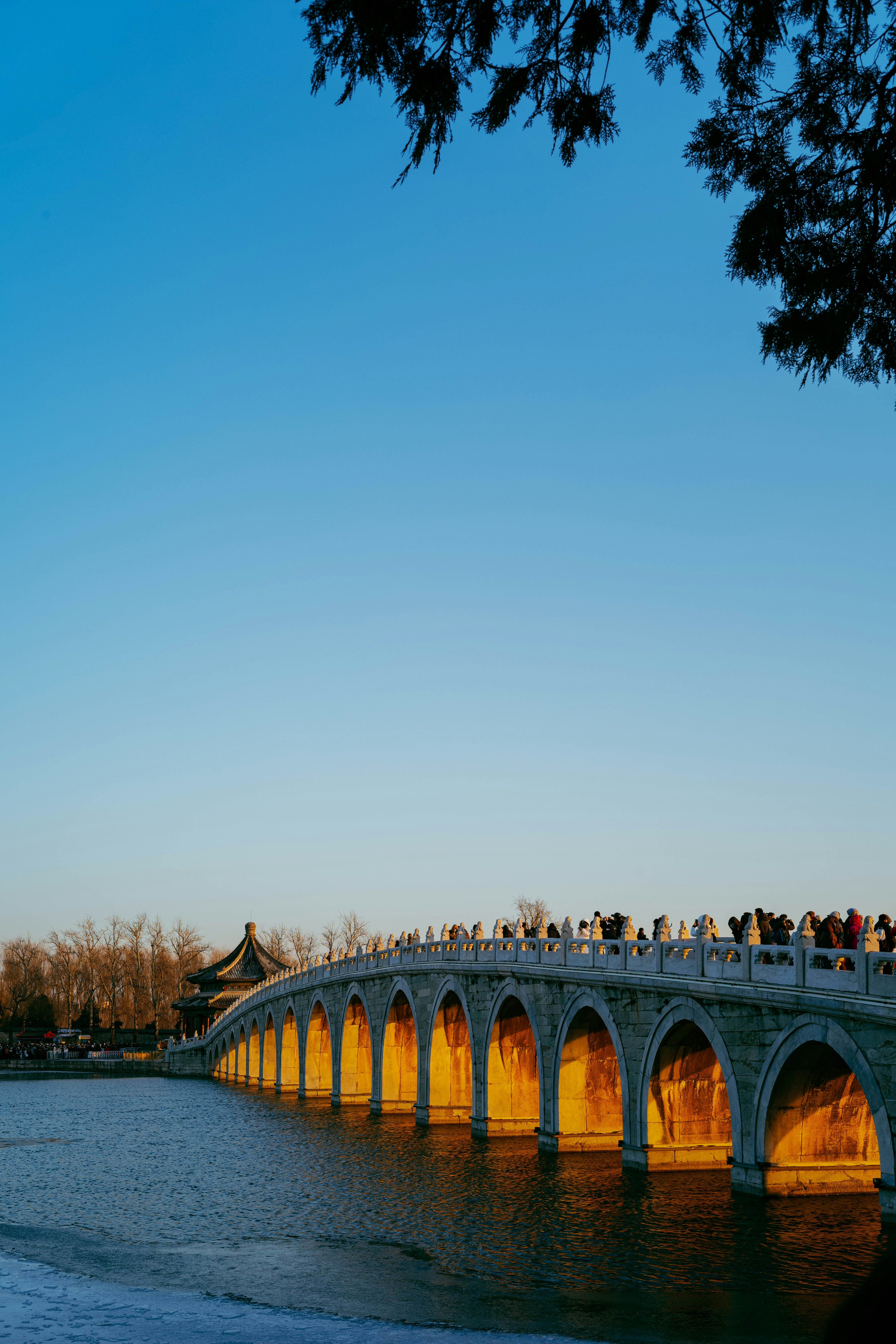 Golden Arches: Evening Light on the Long Bridge