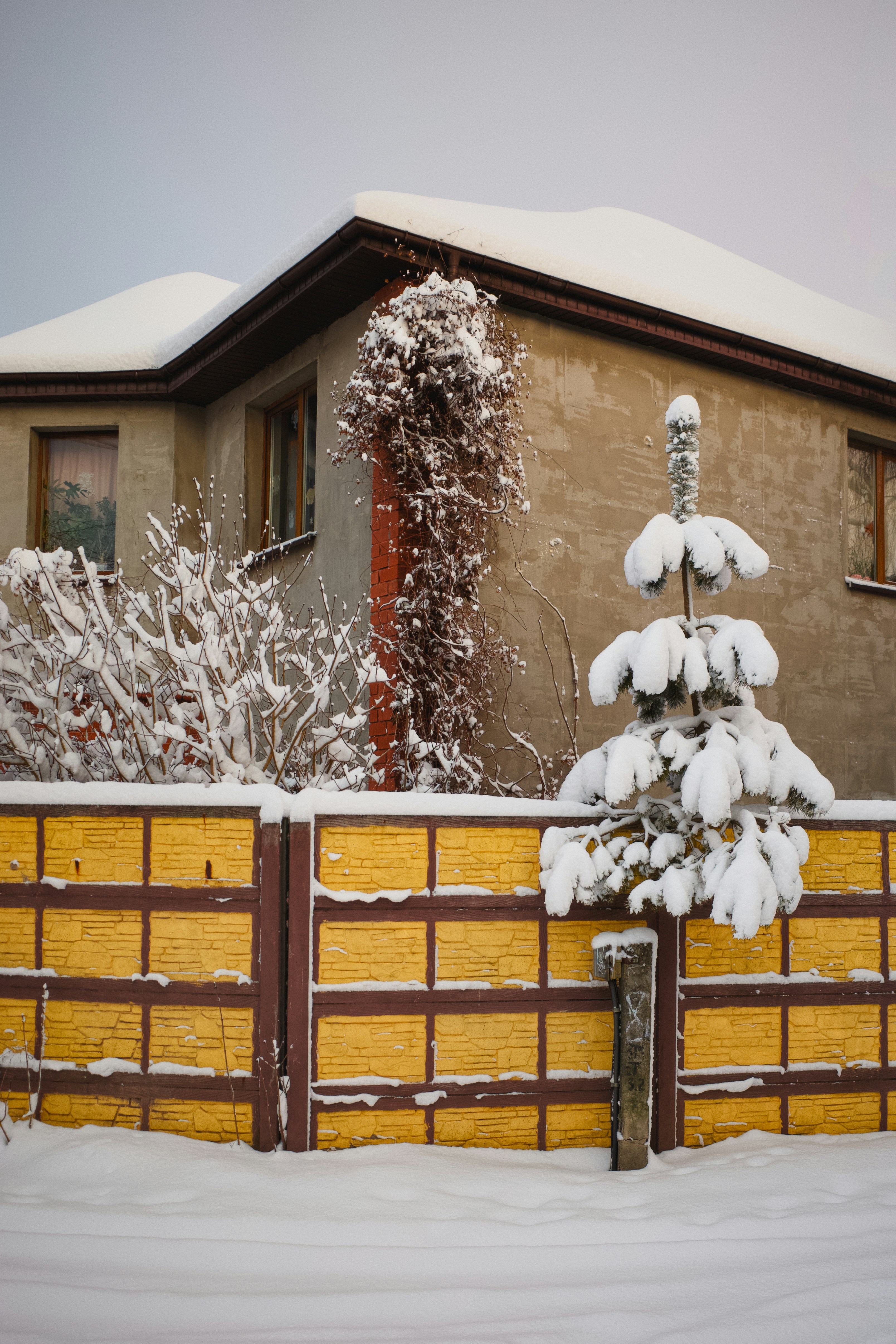 Snow-White Fence and House: Quiet Winter Morning