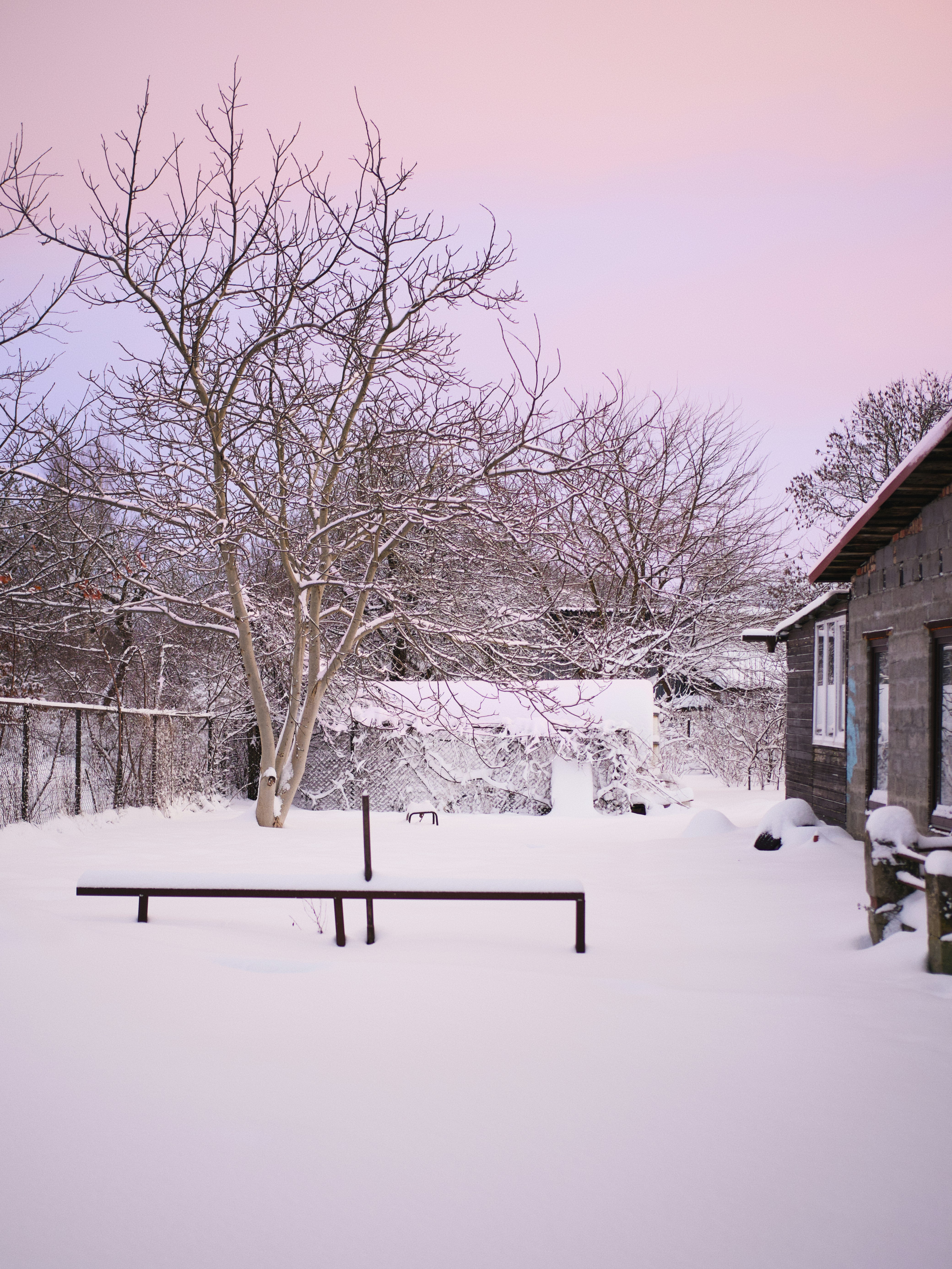 Snowbound Courtyard with Bare Trees and Rustic Cabin