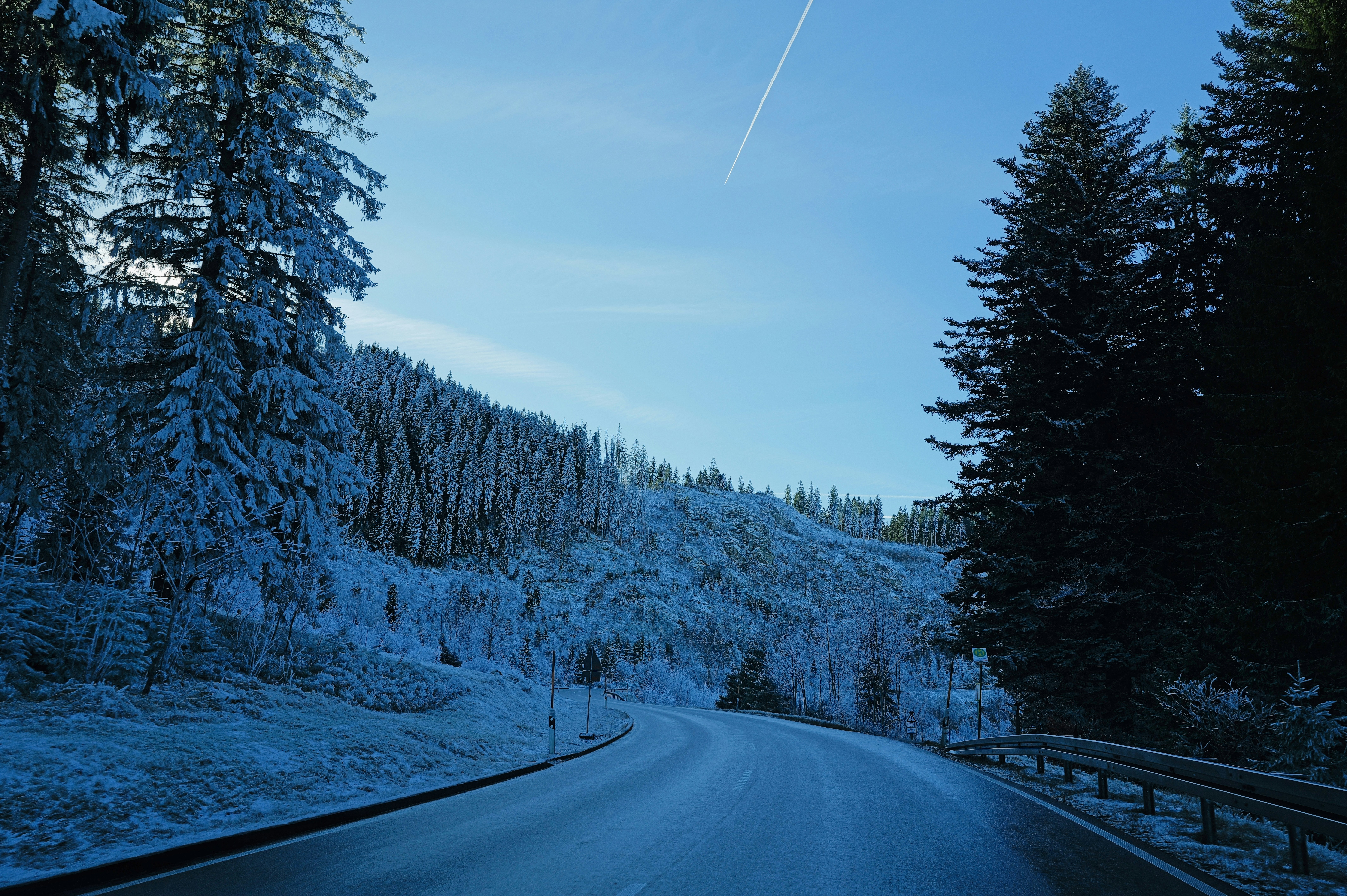 Snowbound Curve: A Quiet Winter Road Surrounded by Pines
