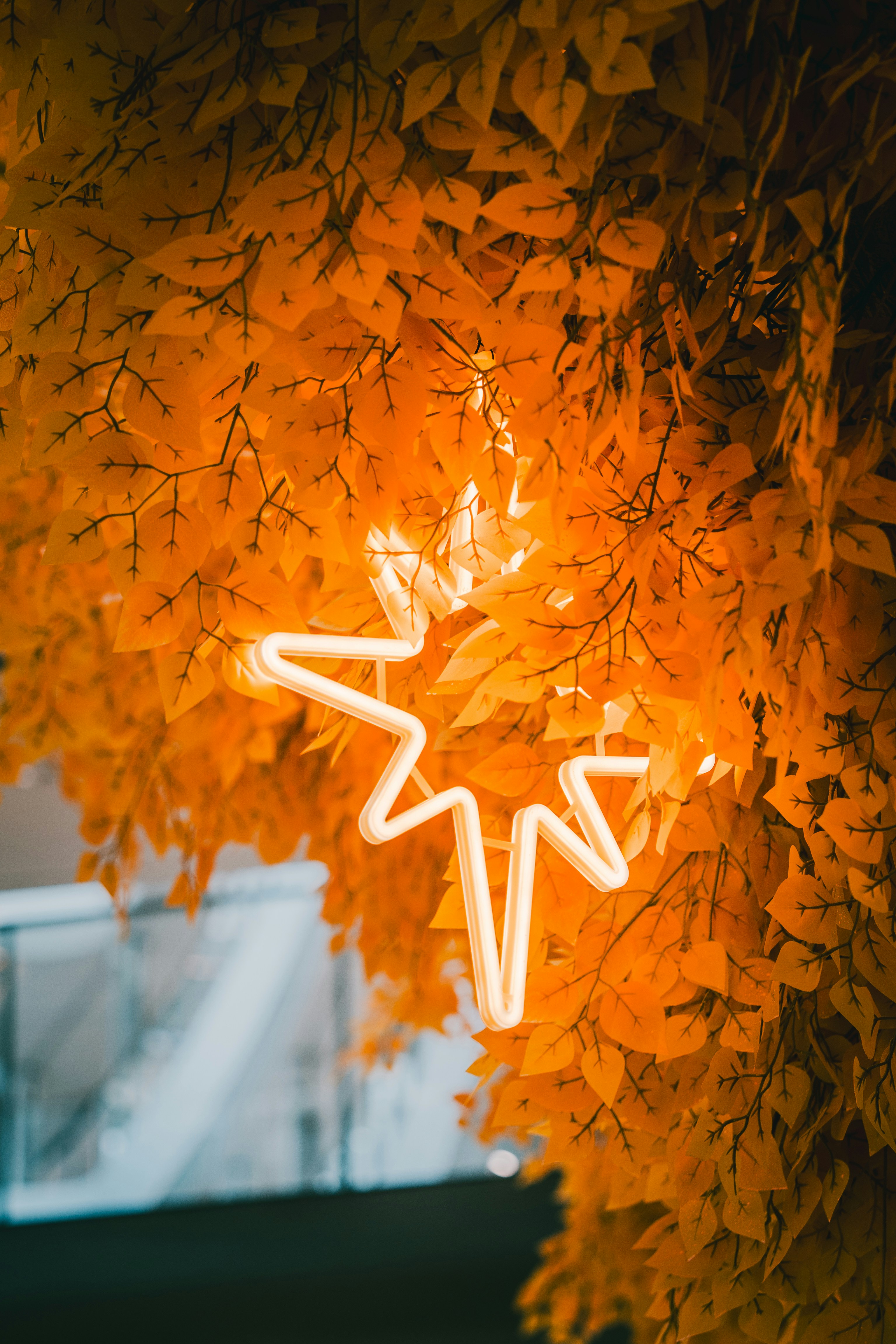 Neon Star Bloom Amid Autumn Haze