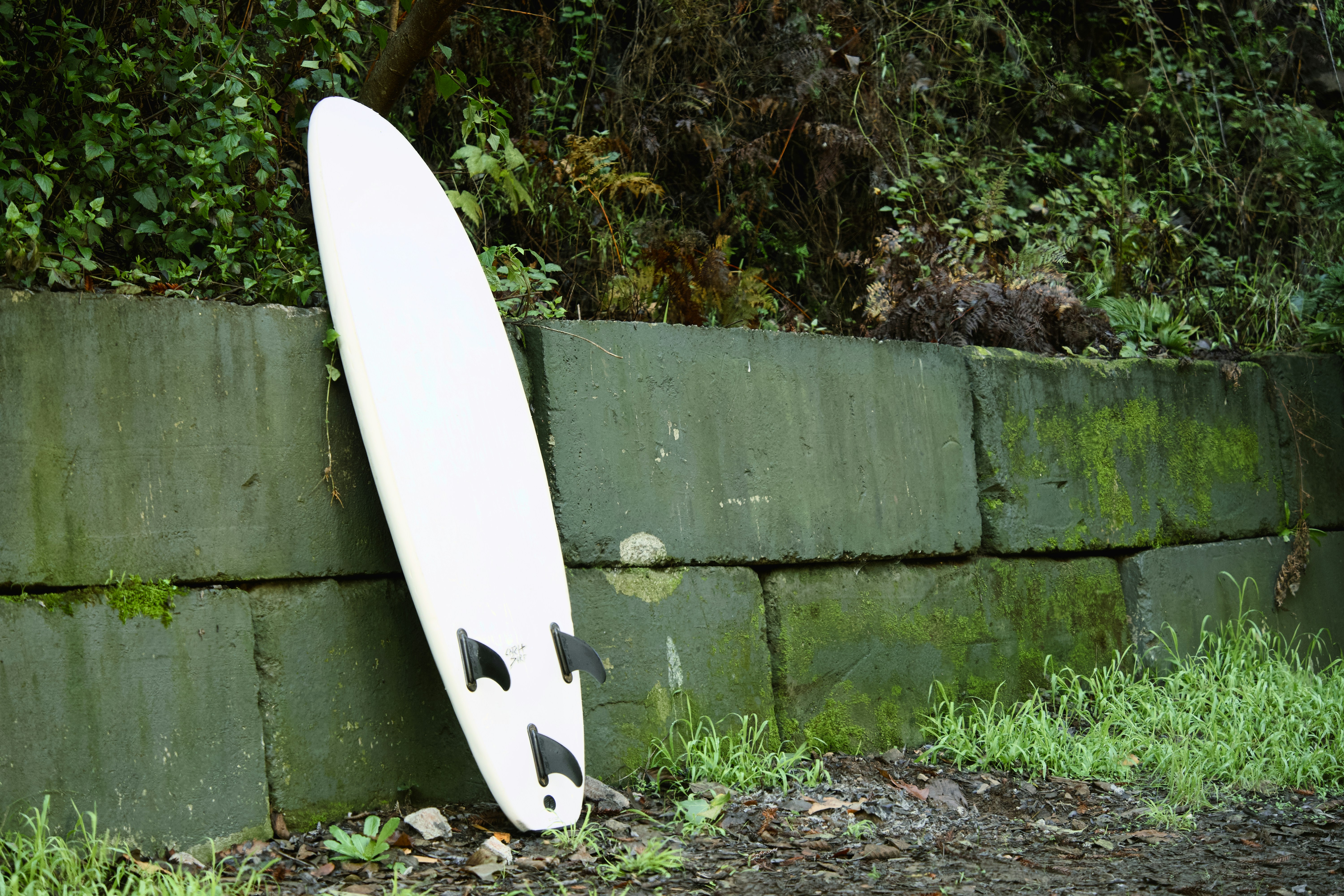 Silent Surfboard Resting Against Mossy Concrete
