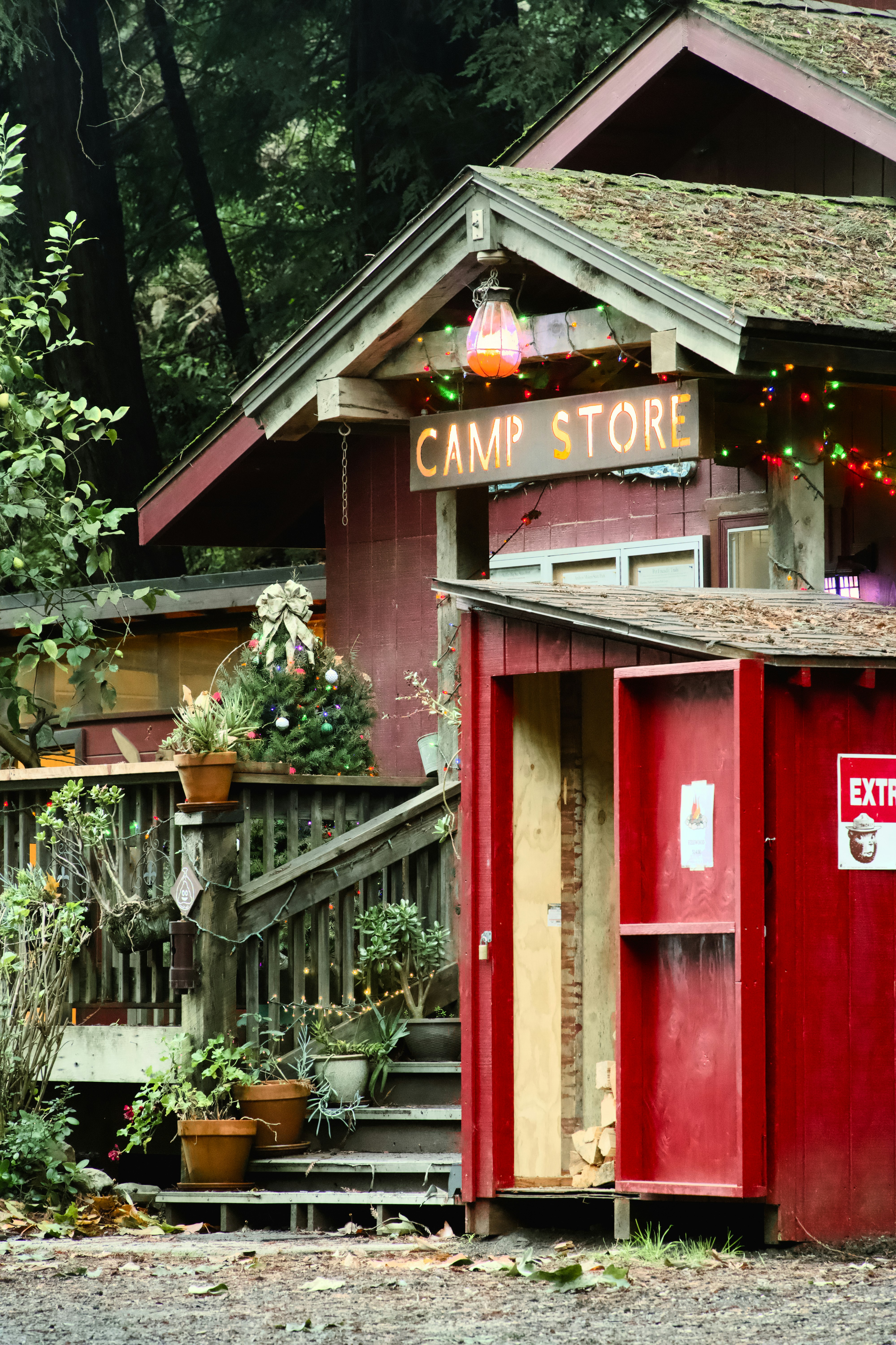 Camp Store in a Cozy Forest Retreat