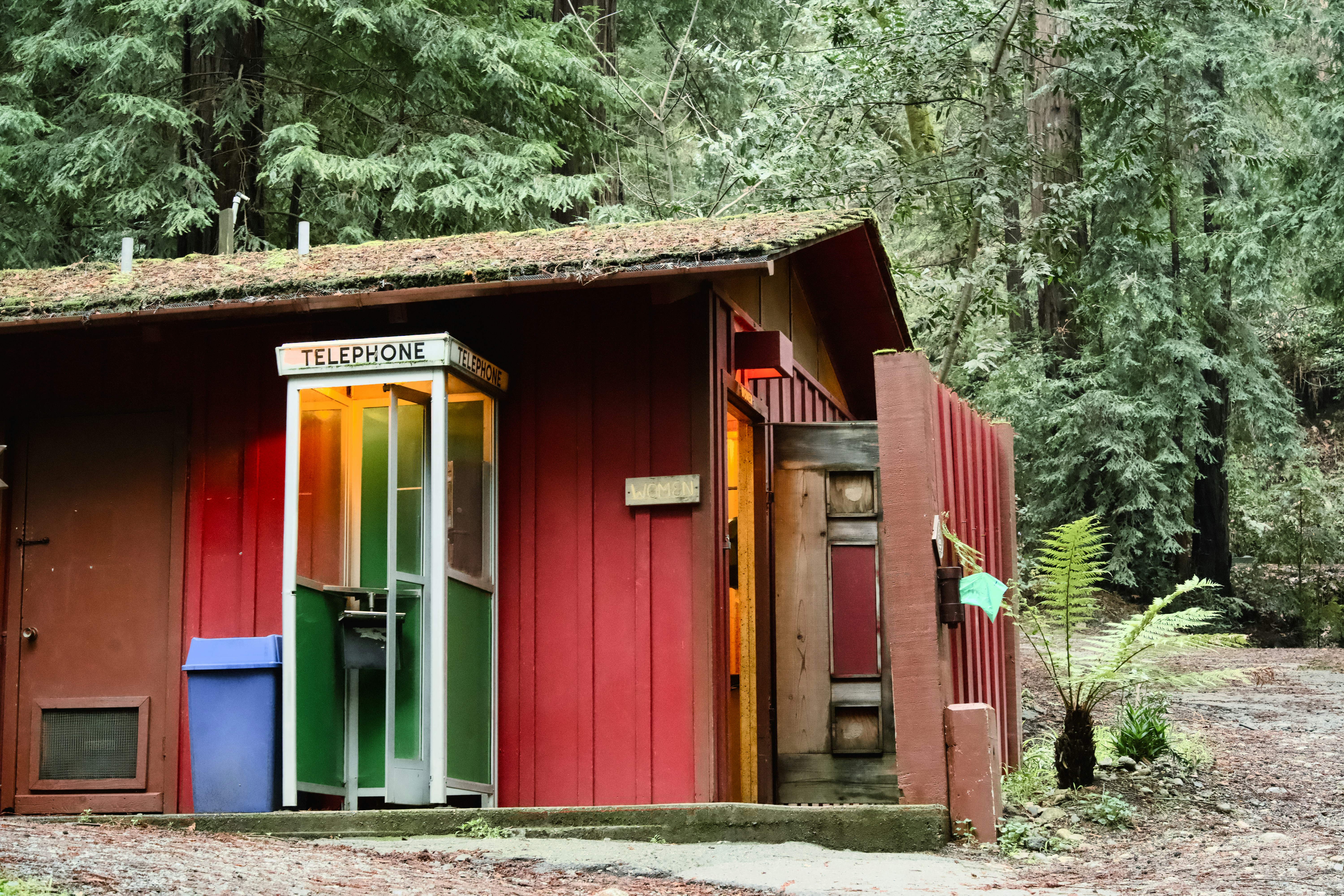 Red Cabin by the Pines: A Quiet Phone Booth in the Woods