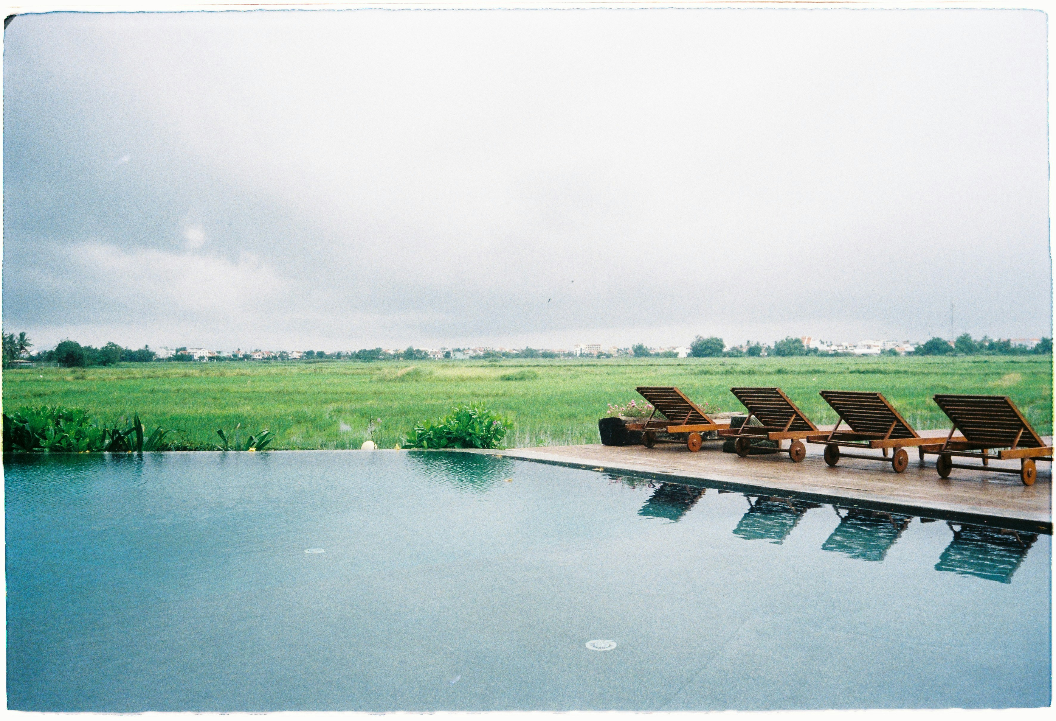 Poolside Bistro: Loungers and Horizon Run