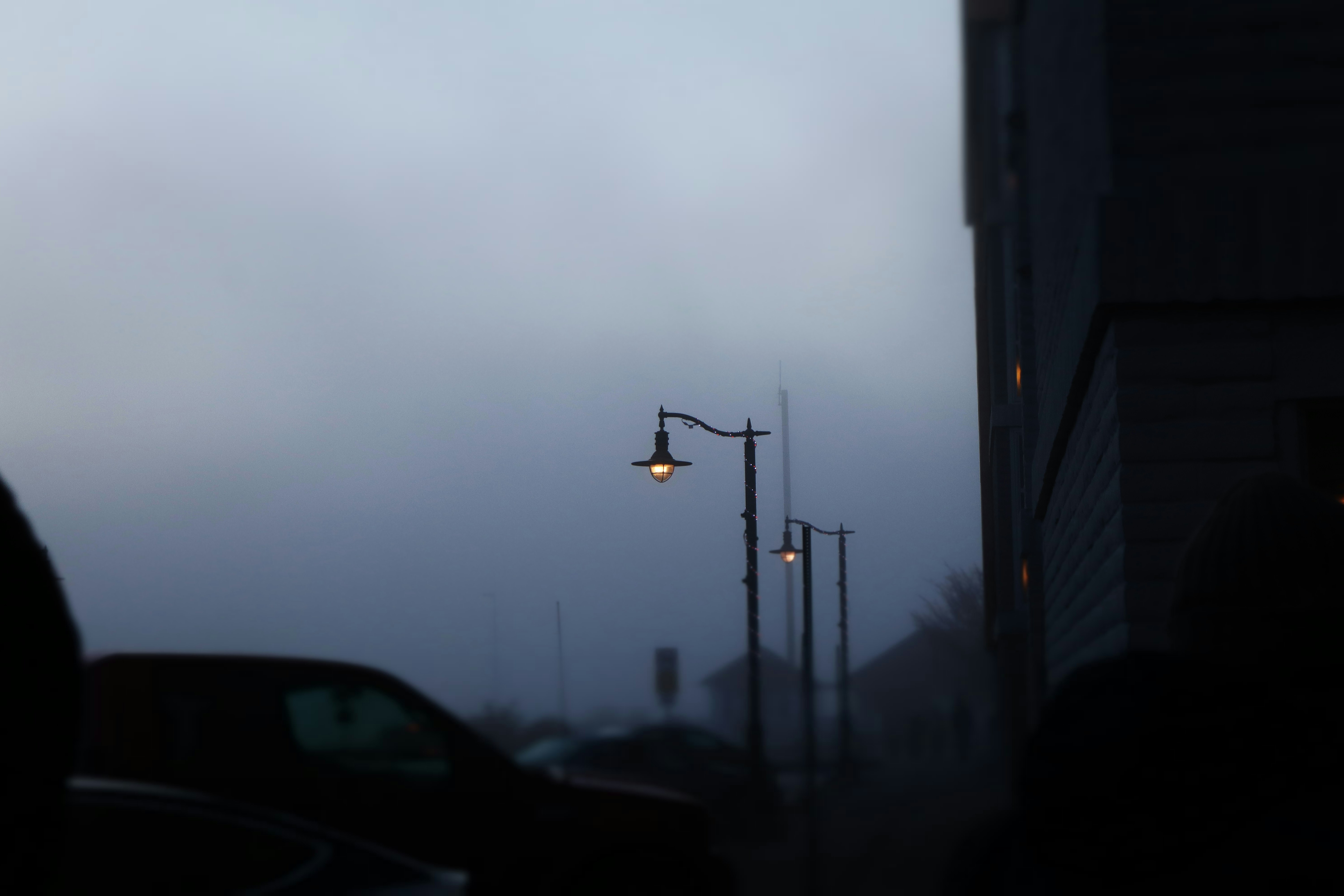 Dim Streetlights Amid Mist: A Quiet Dusk in the Neighborhood