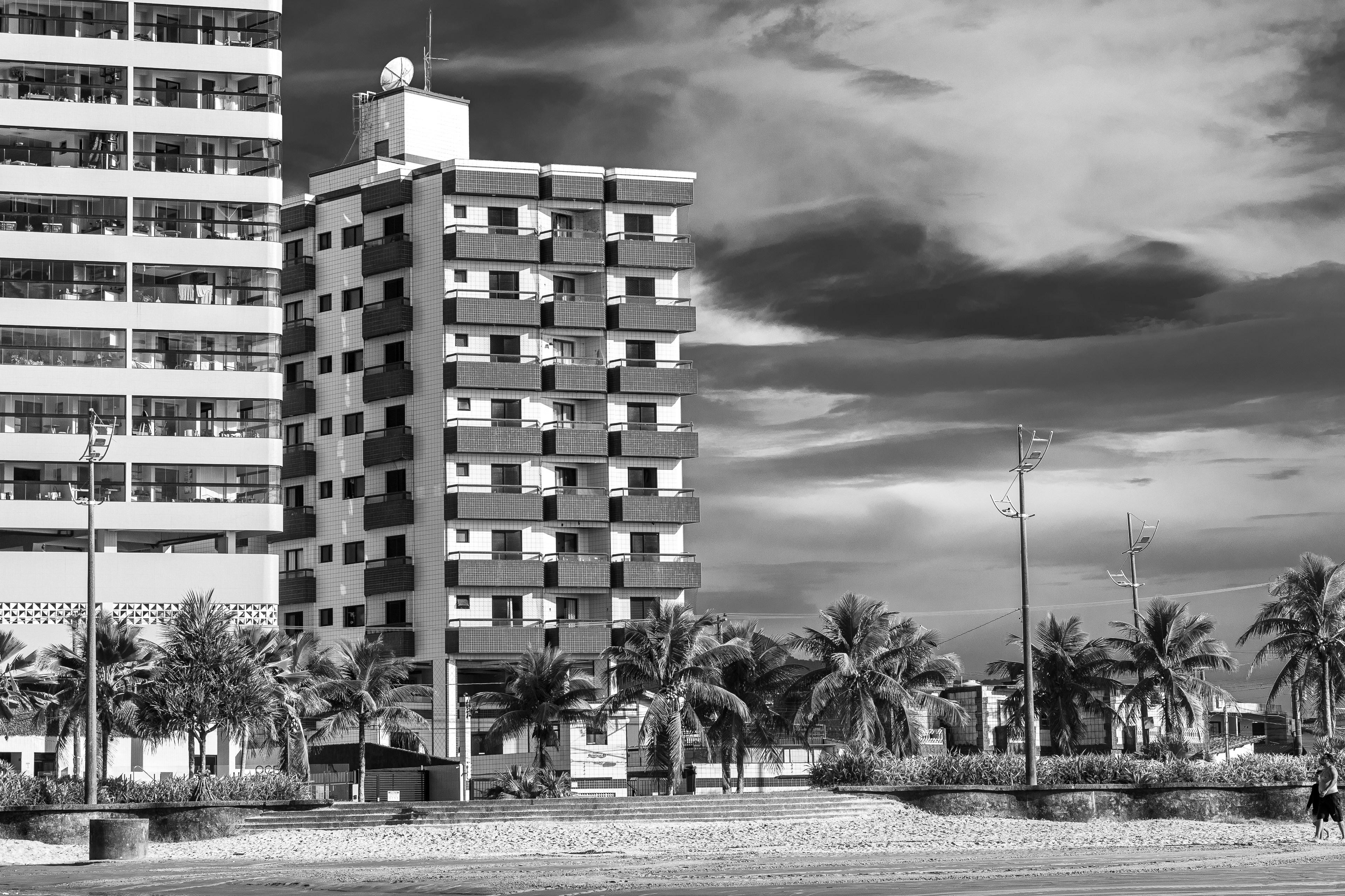 Midday Shadows on a Coastal High-Rloat: Towering Concrete Meets Tropical Row