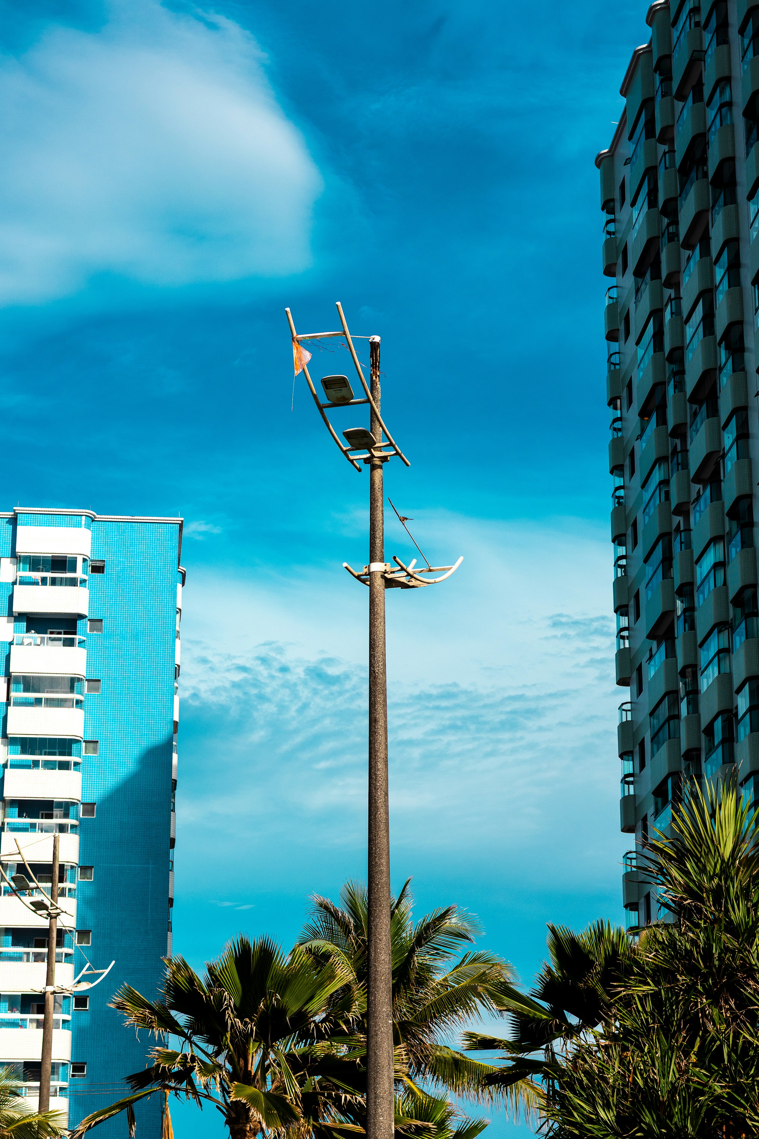 Urban Skyline with a Central Pole: A Fruit of Concrete and Palm