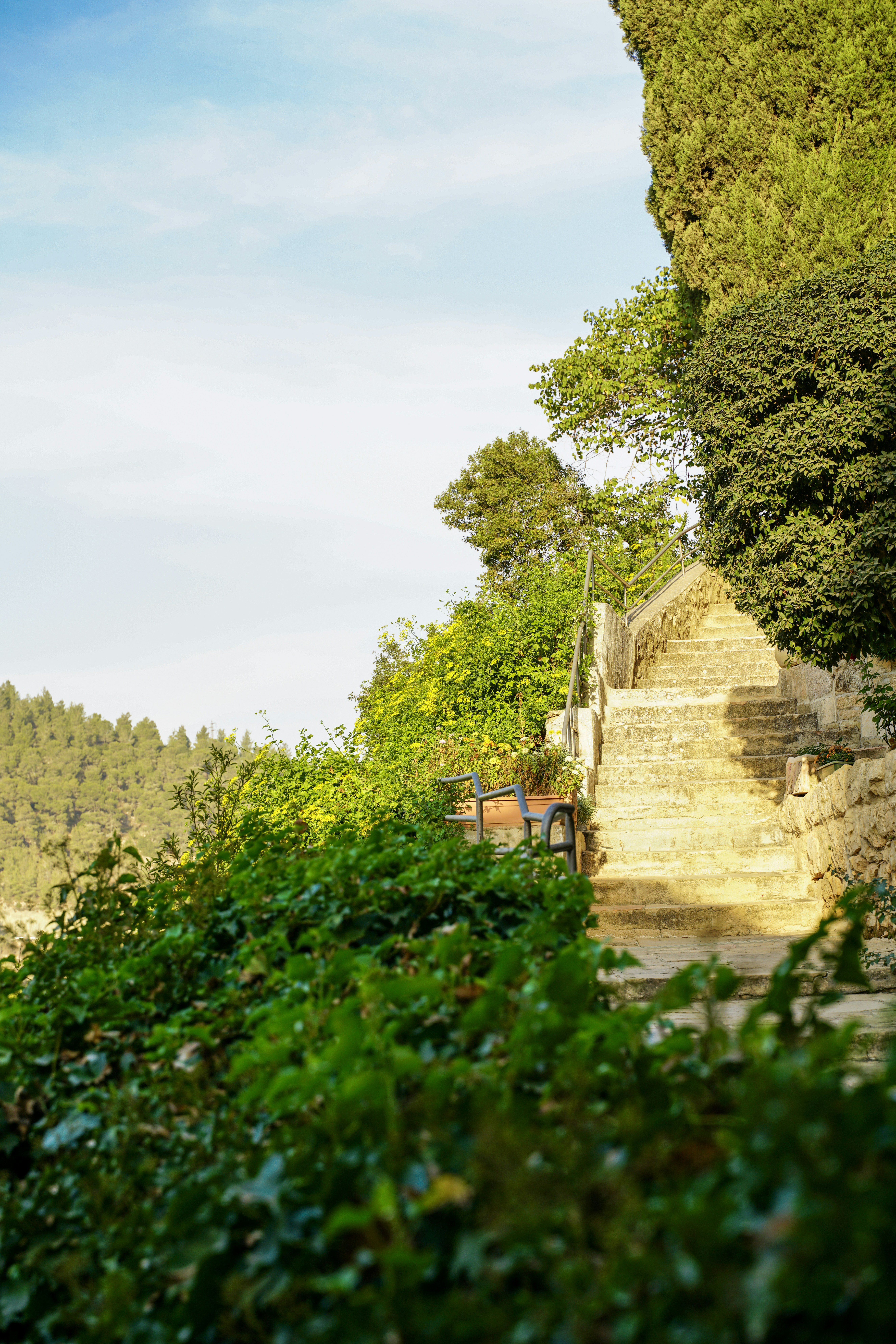 Sunlit stone stairs fade into lush hillside