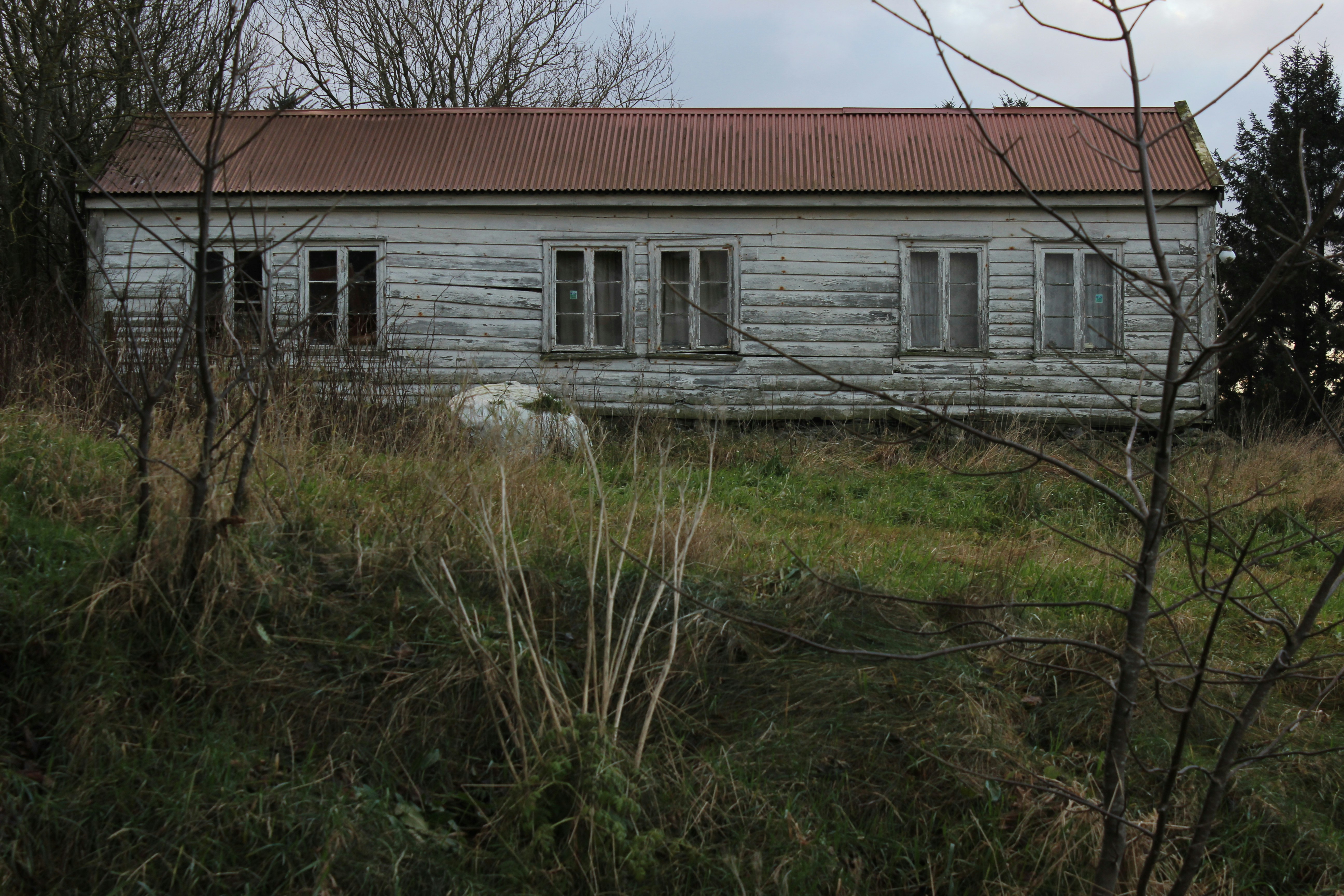 Weathered House in the Overgrown Clearing