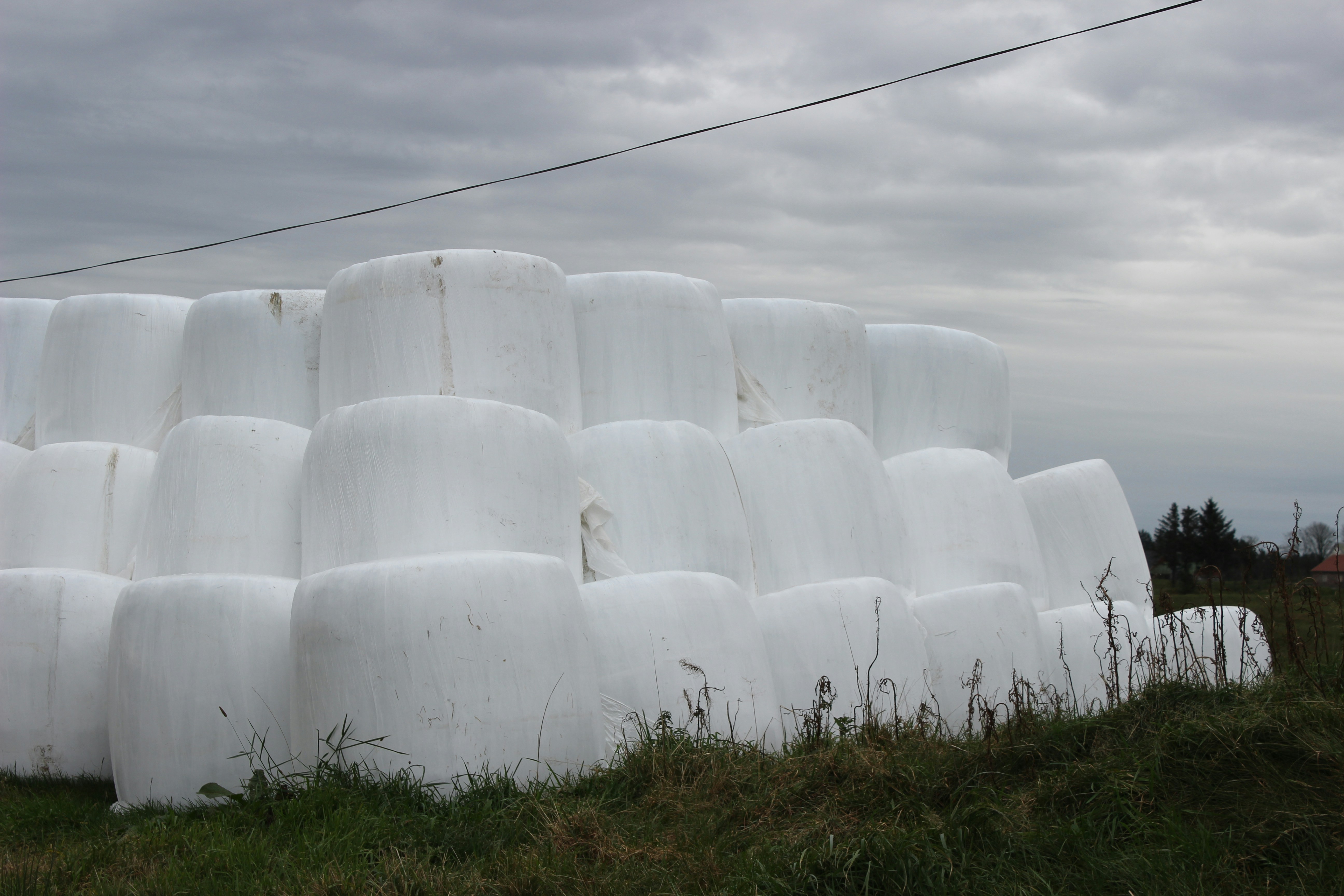 White hay bales stacked in a field photo – Free Farm Image on Unsplash