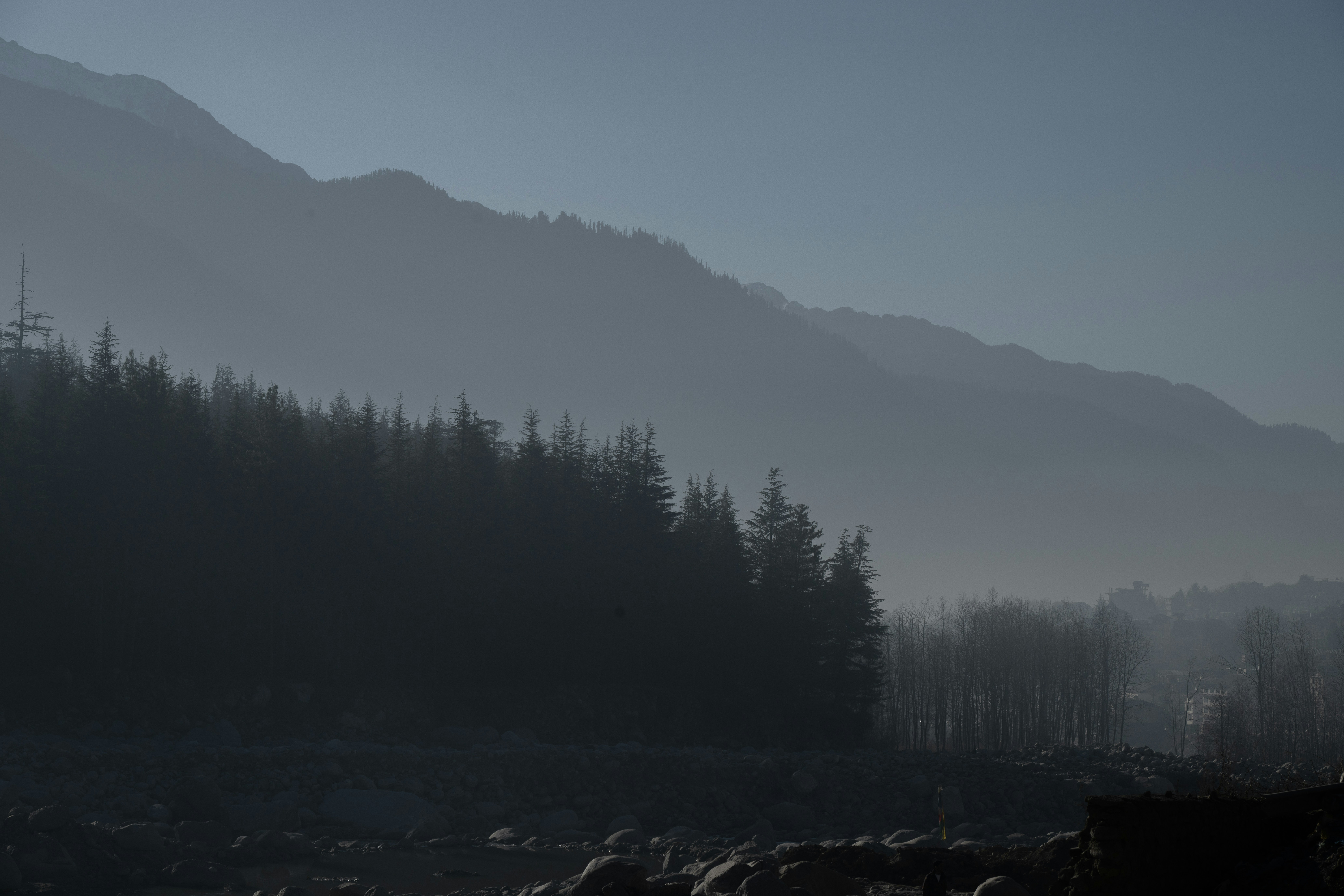 Misty Ridge: Silent Woods Meet the Blue Ridge Dawn