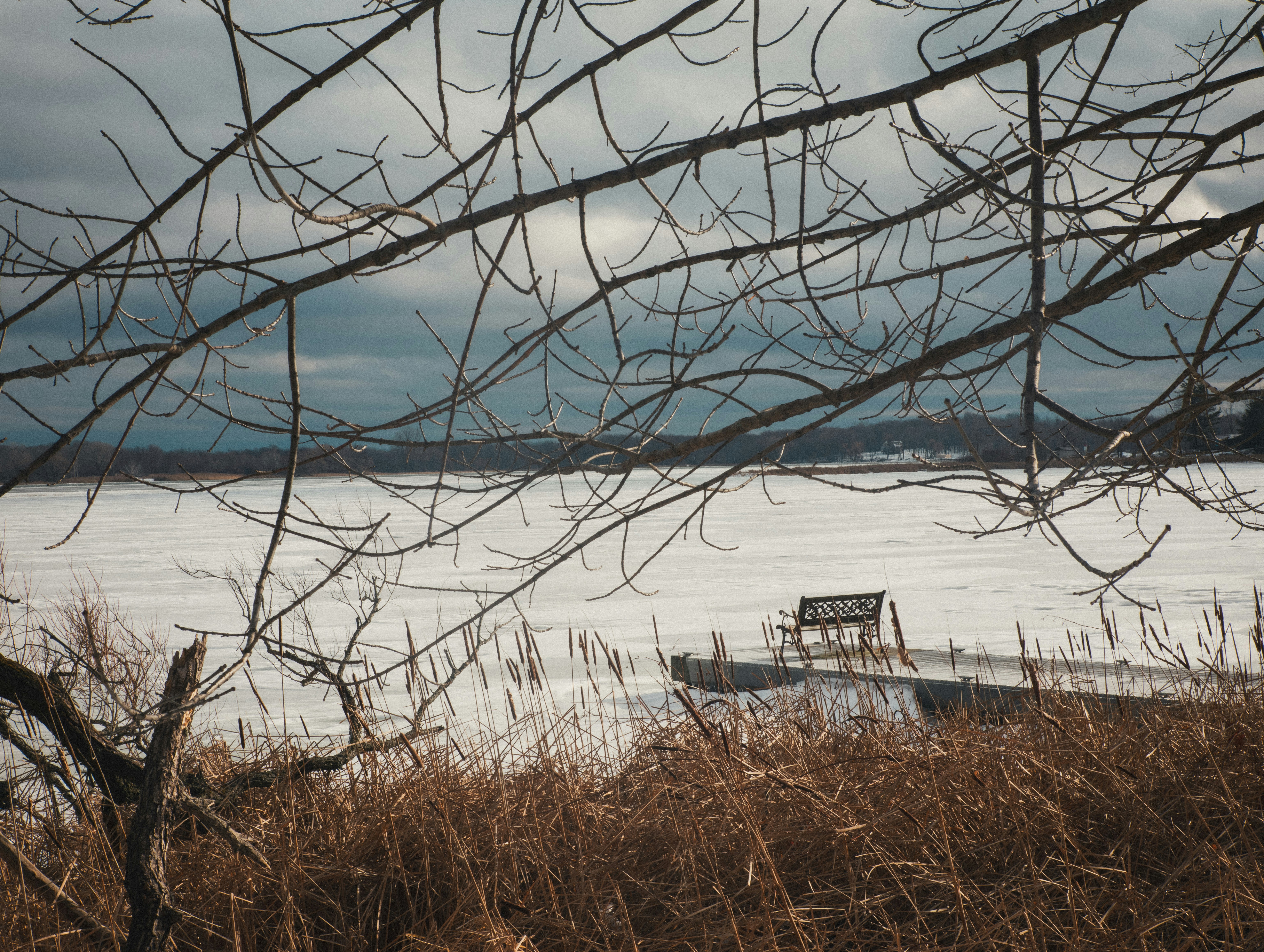 A Bench Beside the Frozen Lake: Quiet Winter Horizon