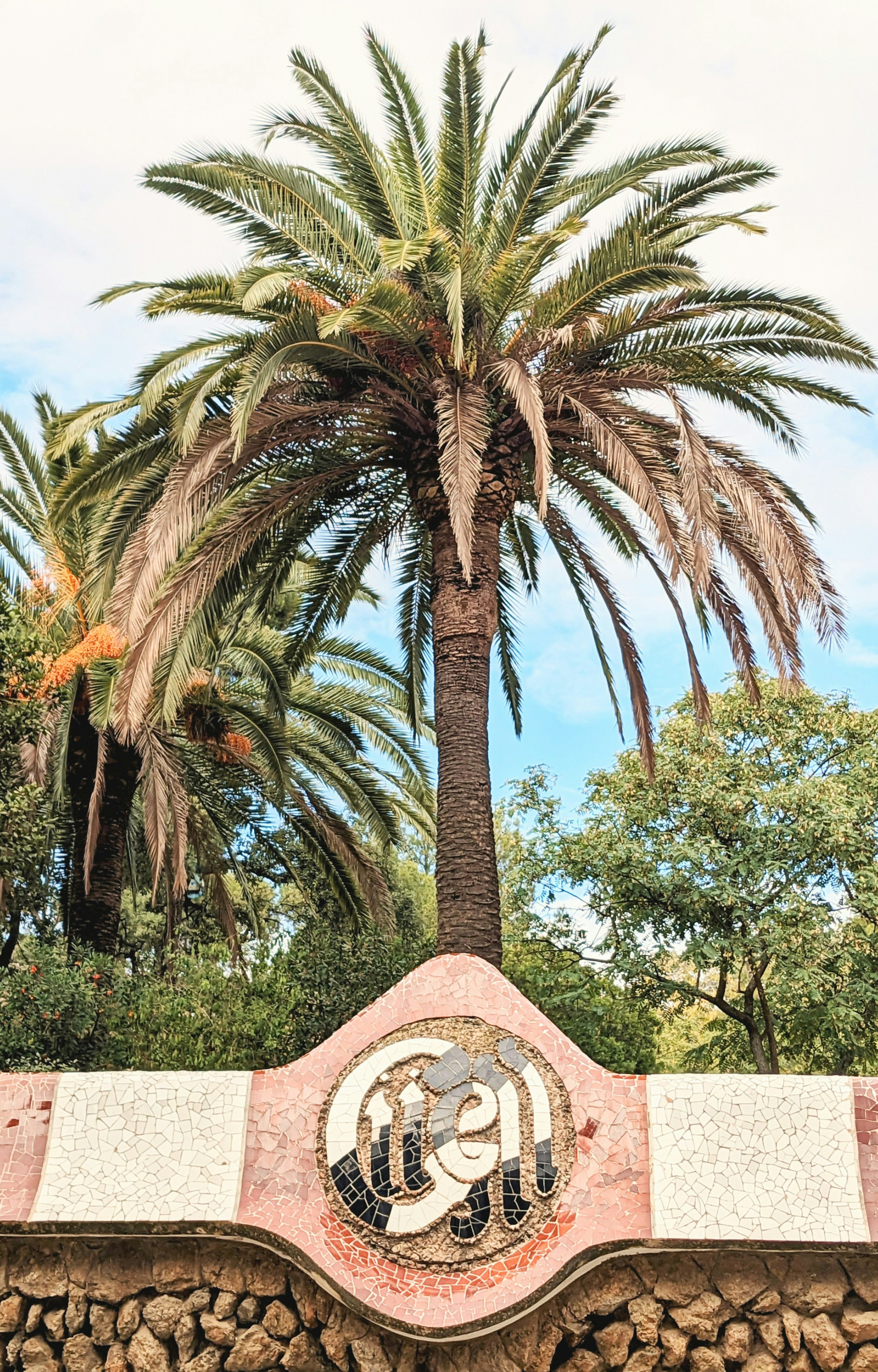 Palm Crown Over Mosaic Arch