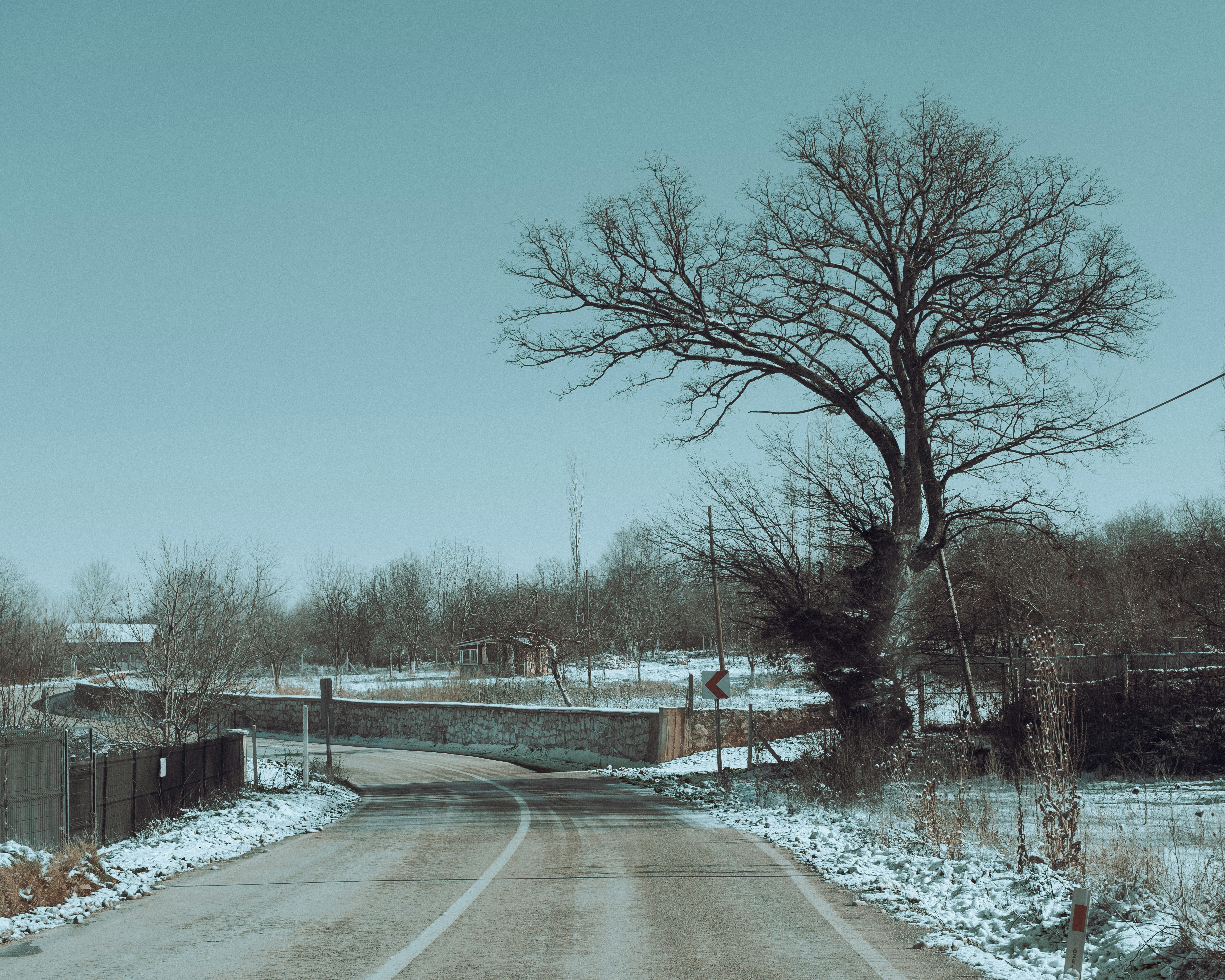 Winter Road to the Lone Tree