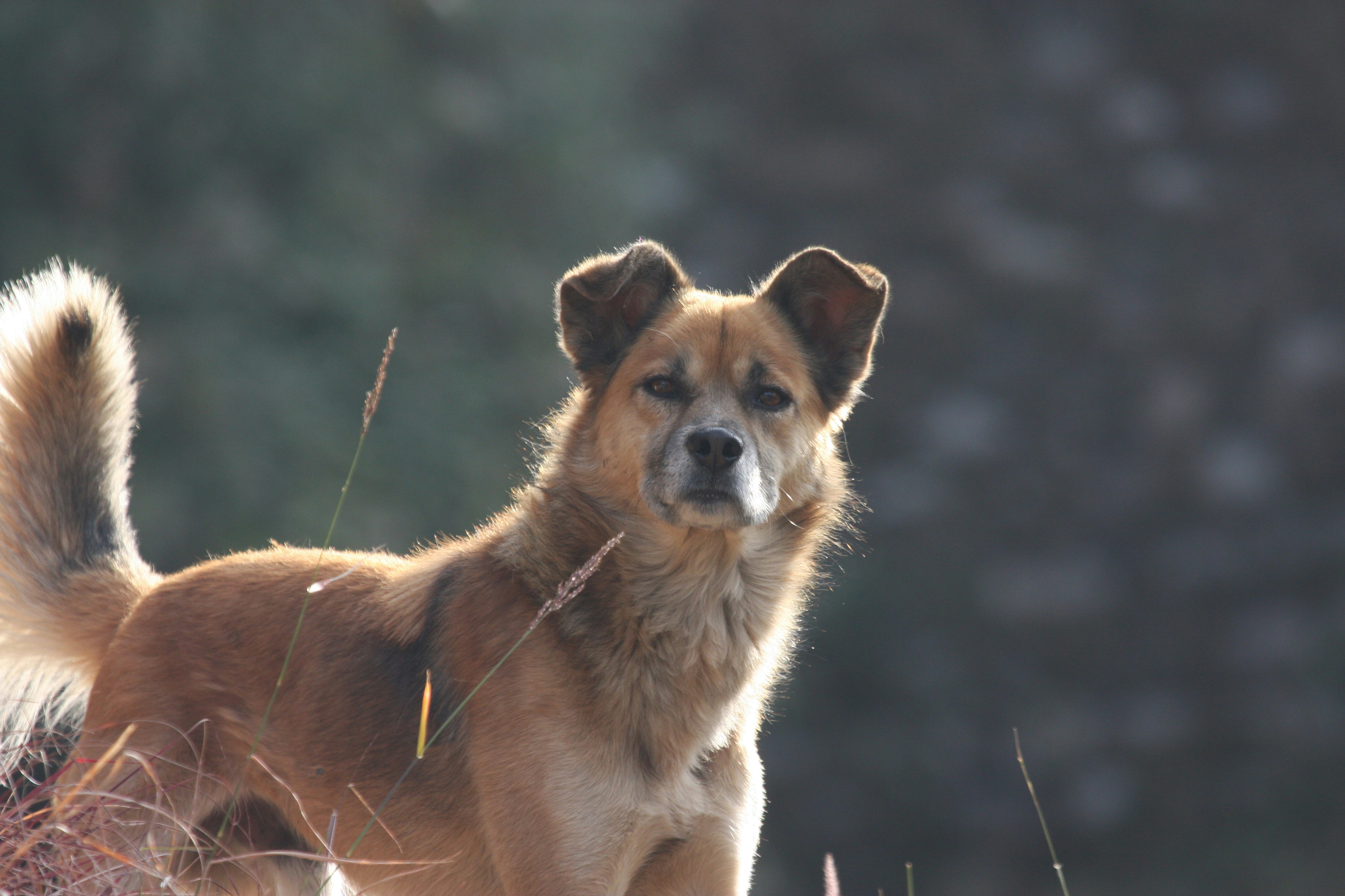 Photo by Suyash Batra with Canon EOS 40D