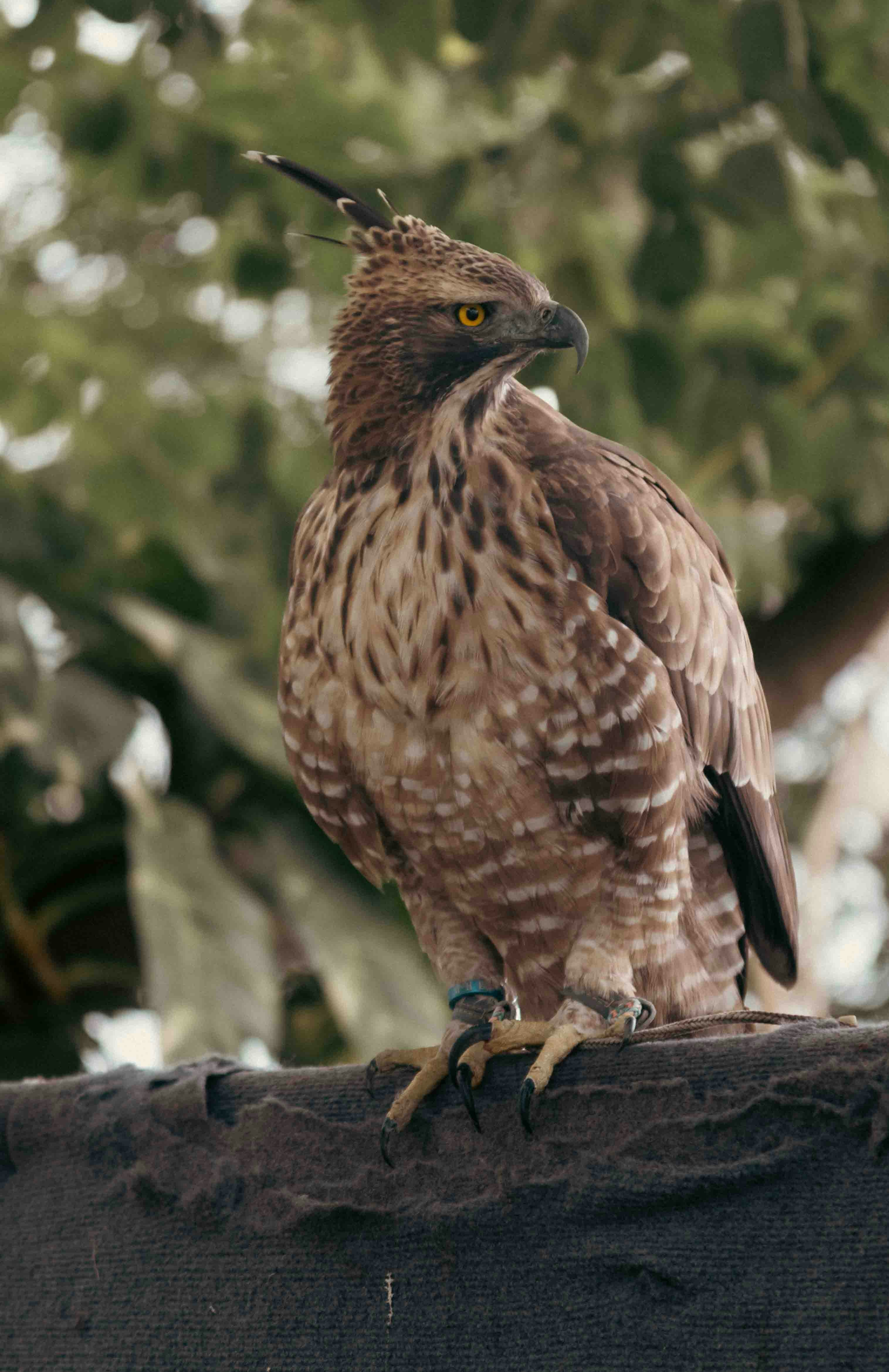 Photo by Bernd 📷 Dittrich with Canon EOS 6D Mark II