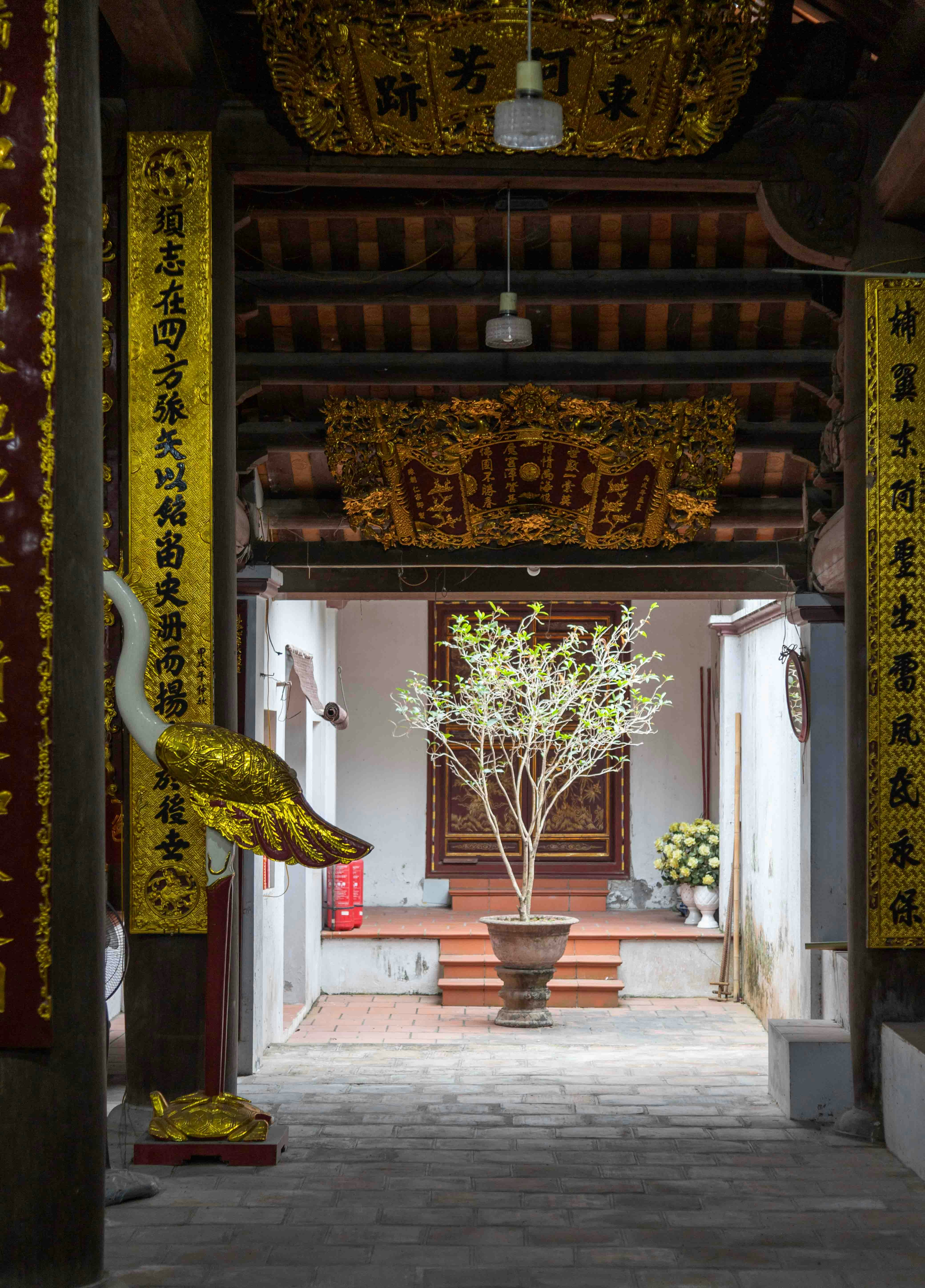 Inner Courtyard of Light: A Tree at the Canon Gate