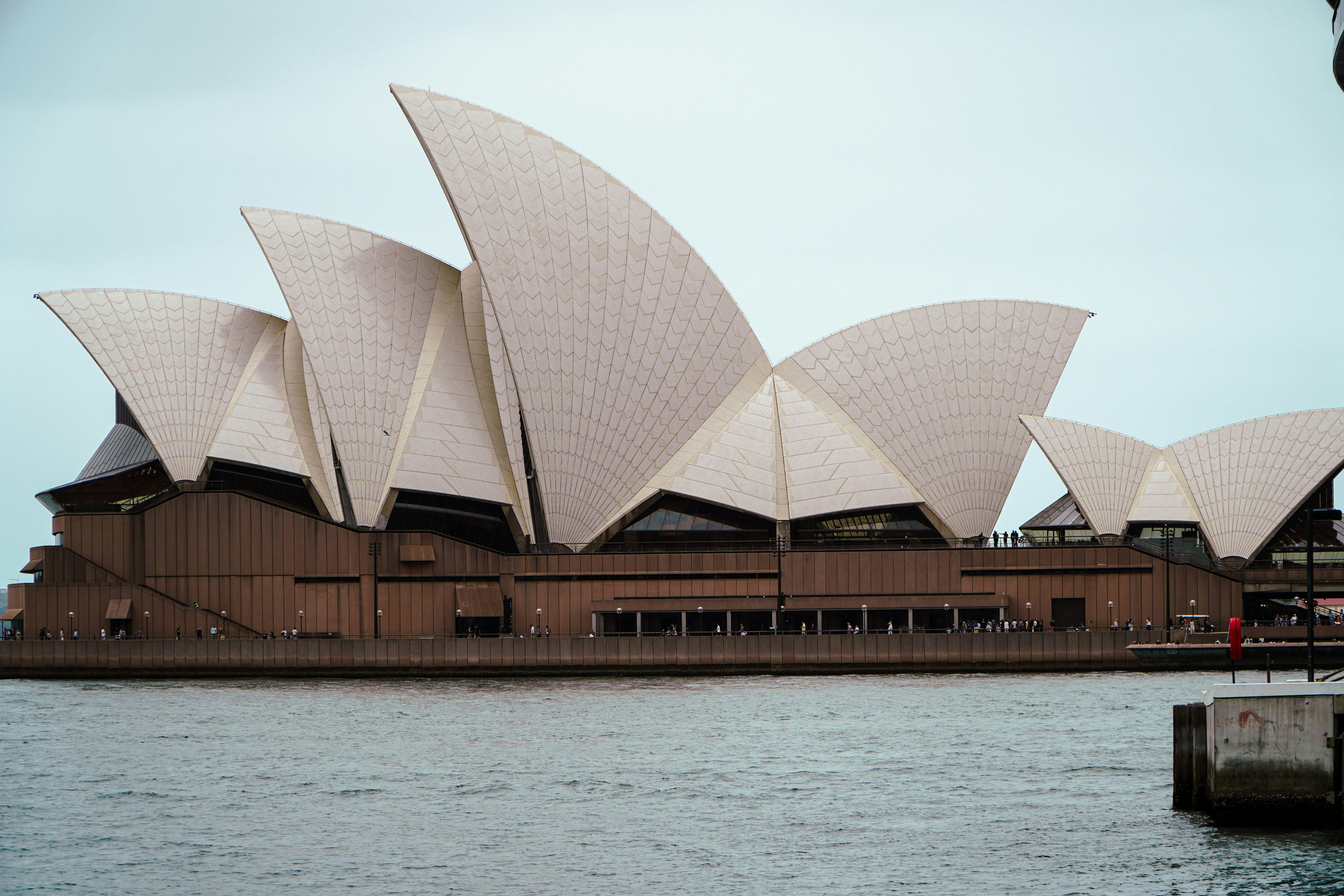 Signature Sails: The Sydney Opera House Framed by the Cove