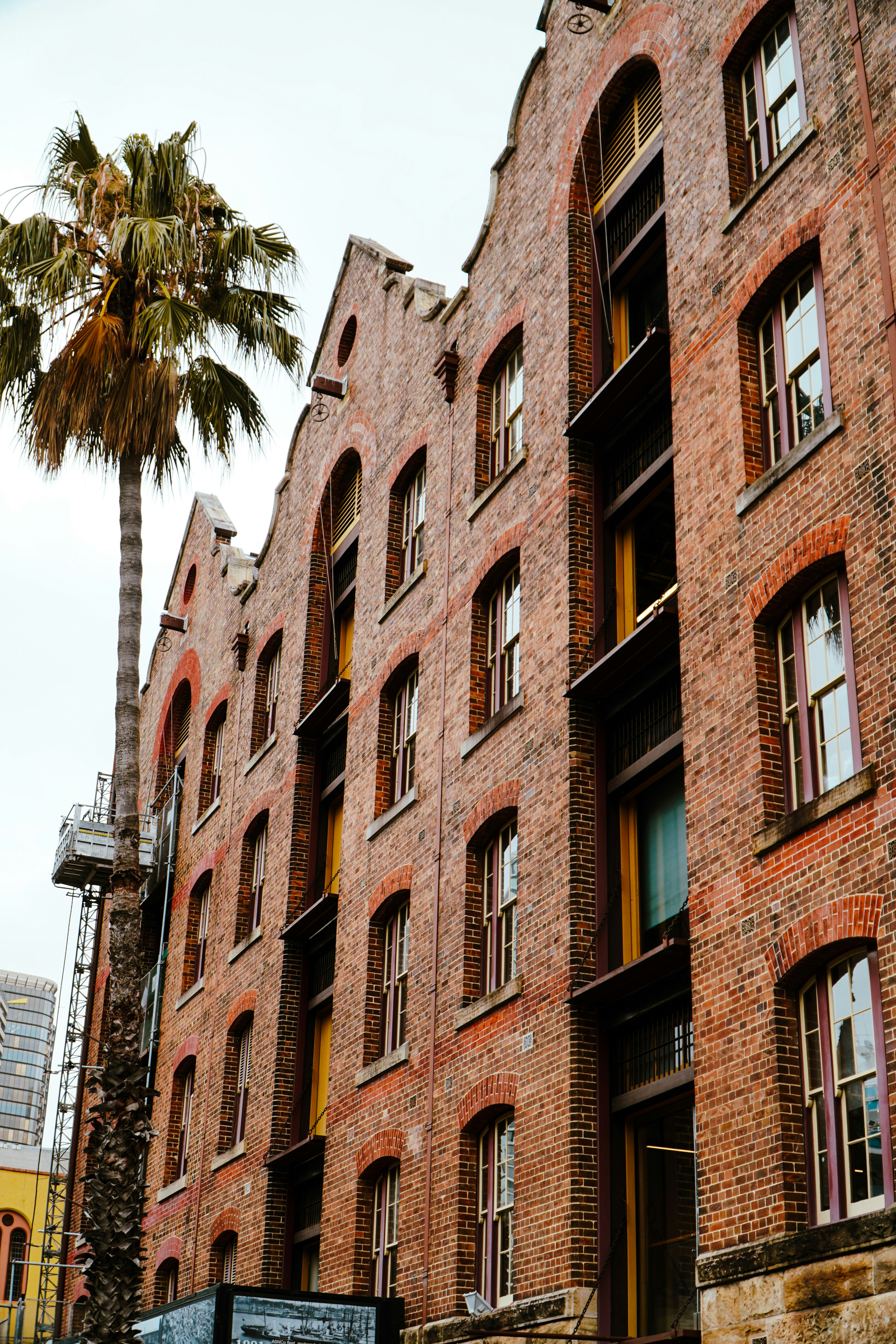 Brick Arcades and a Leaning Palm