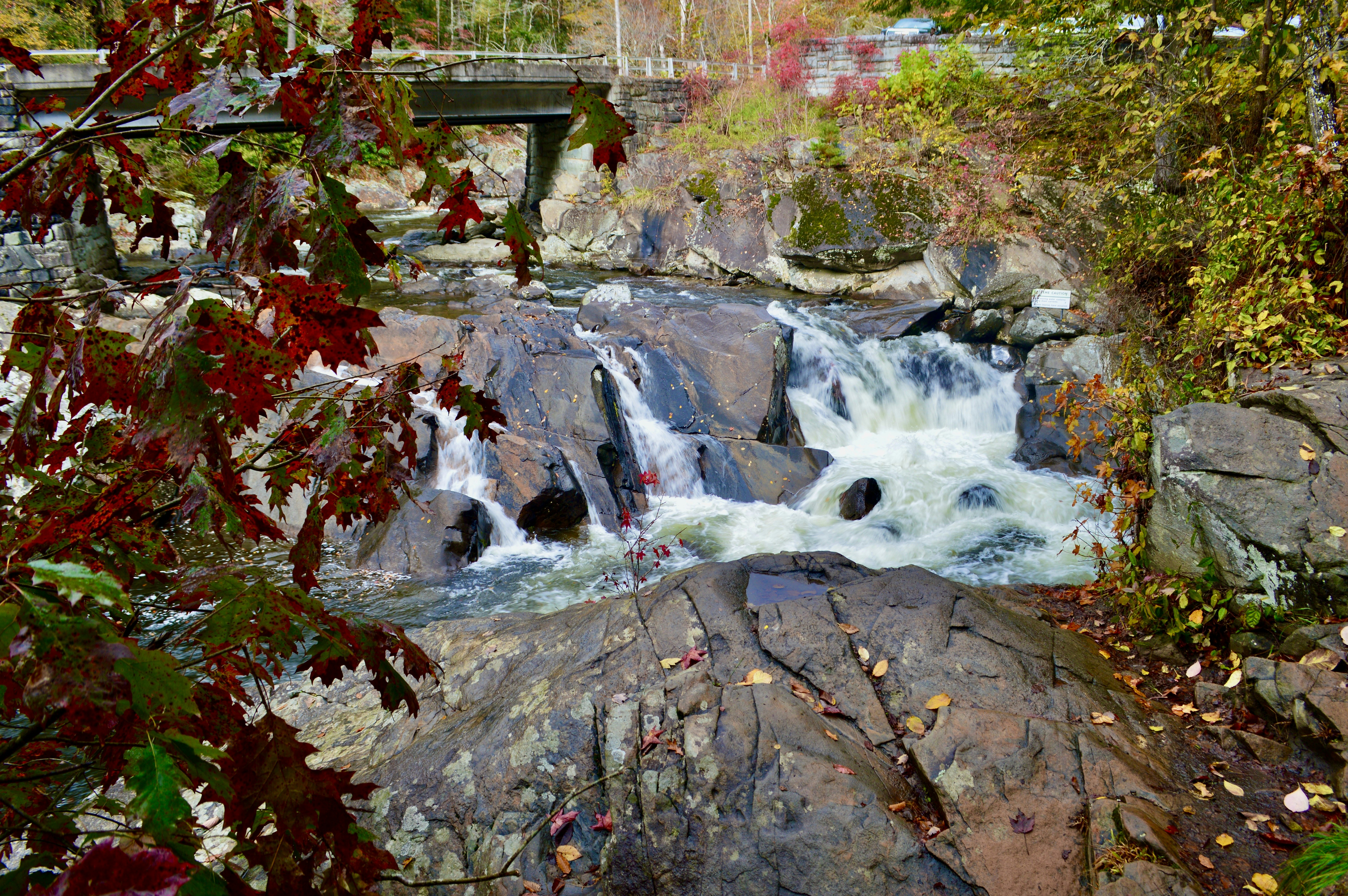 Autumn Cascade Under a Bridge