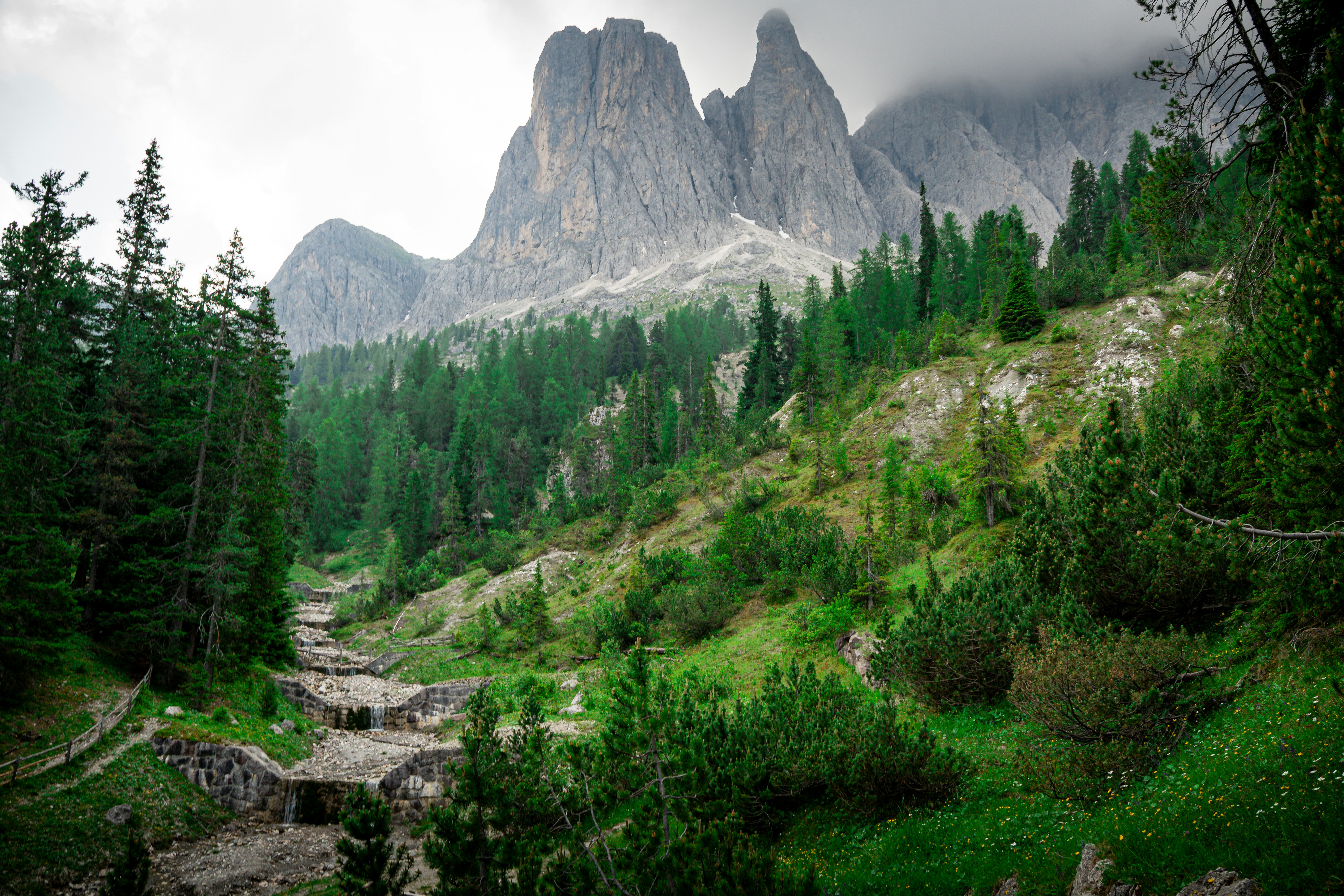 Towering Peaks Above a Forested Trail