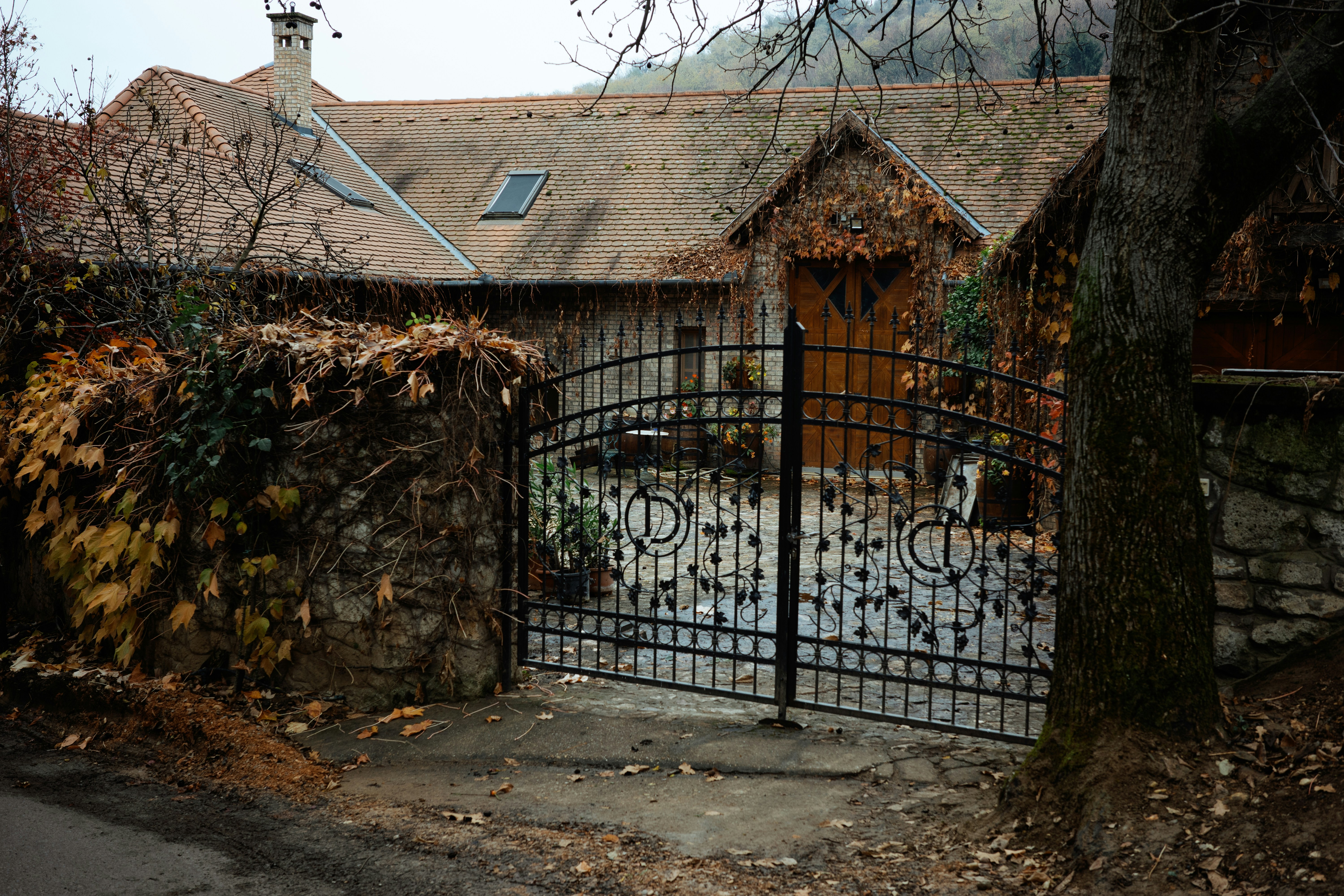 Iron Gate and Stone Courtyard Beneath Autumn Retrenchment