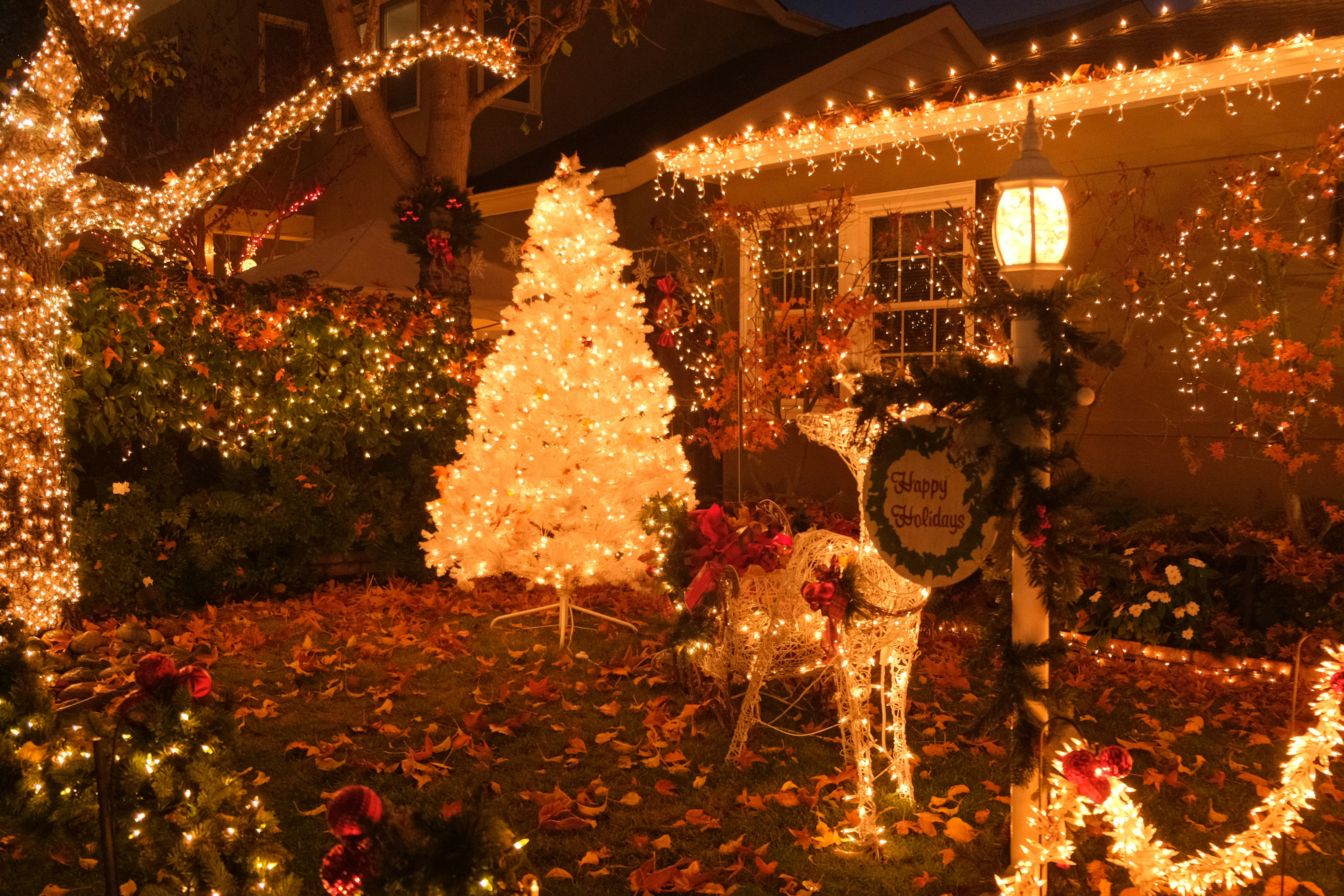 Warm Glow: Holiday Lights Framing a Festive Street Scene