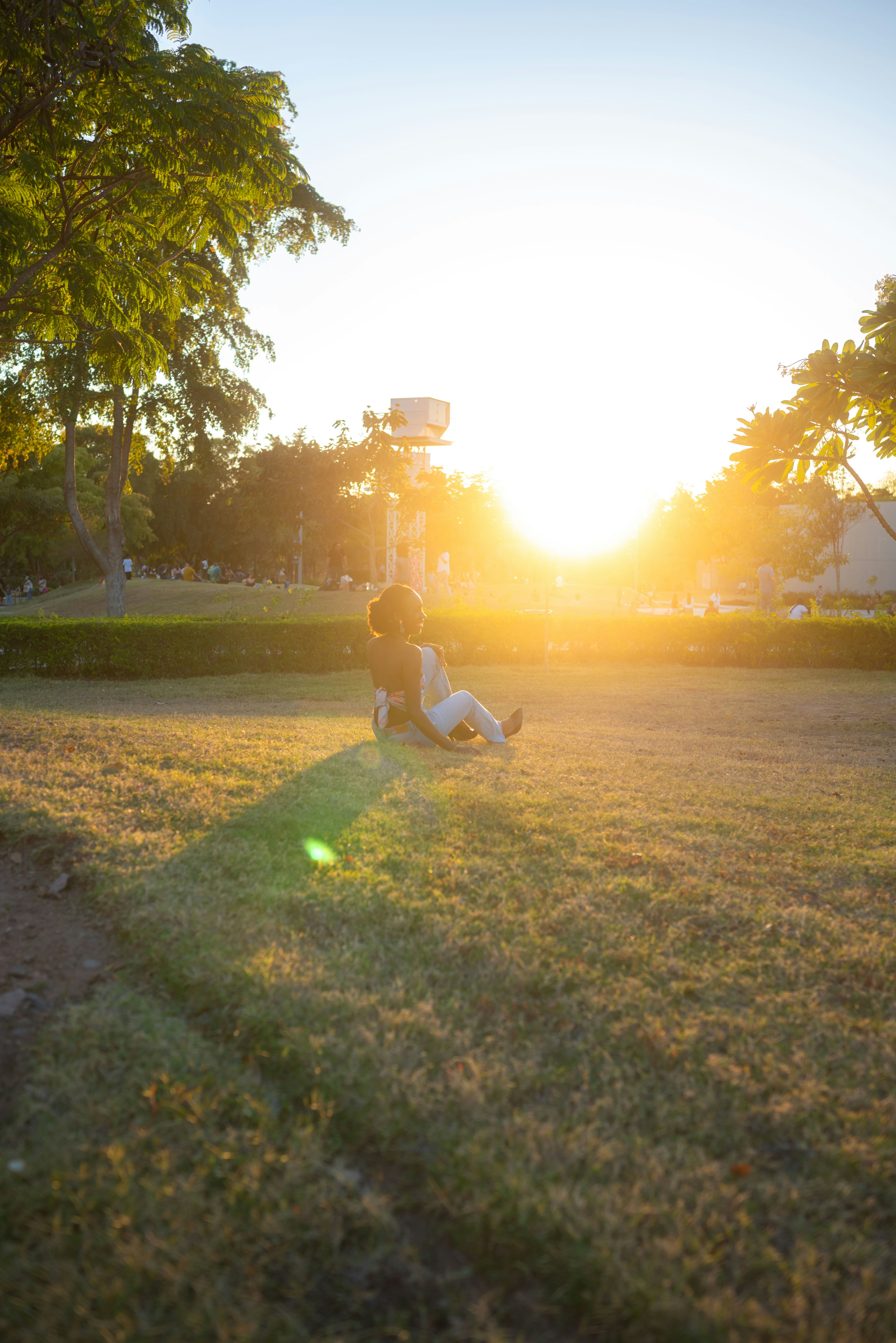 Sunlit Quiet: A Seated Moment as Daylight Basks the Park