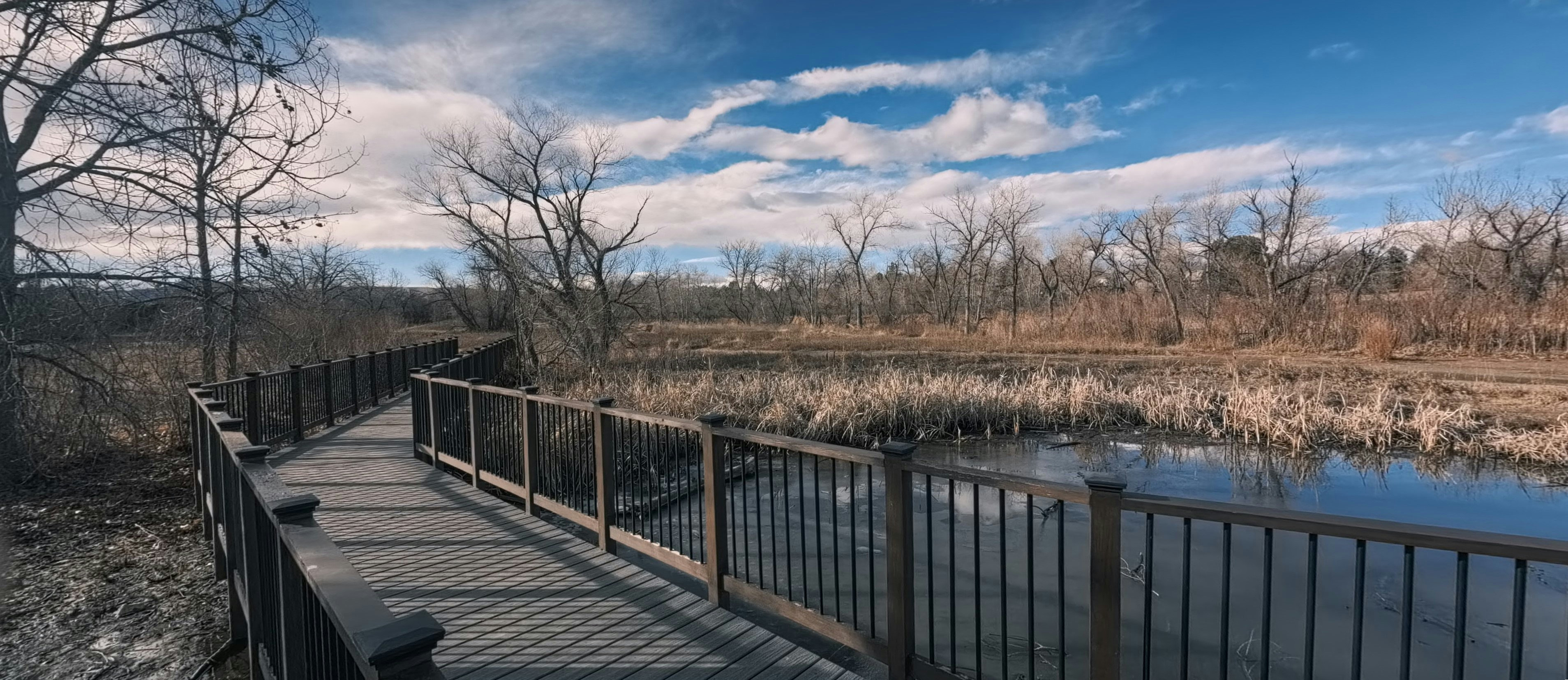 Wooden boardwalk alongside a wetland on a cloudy day.