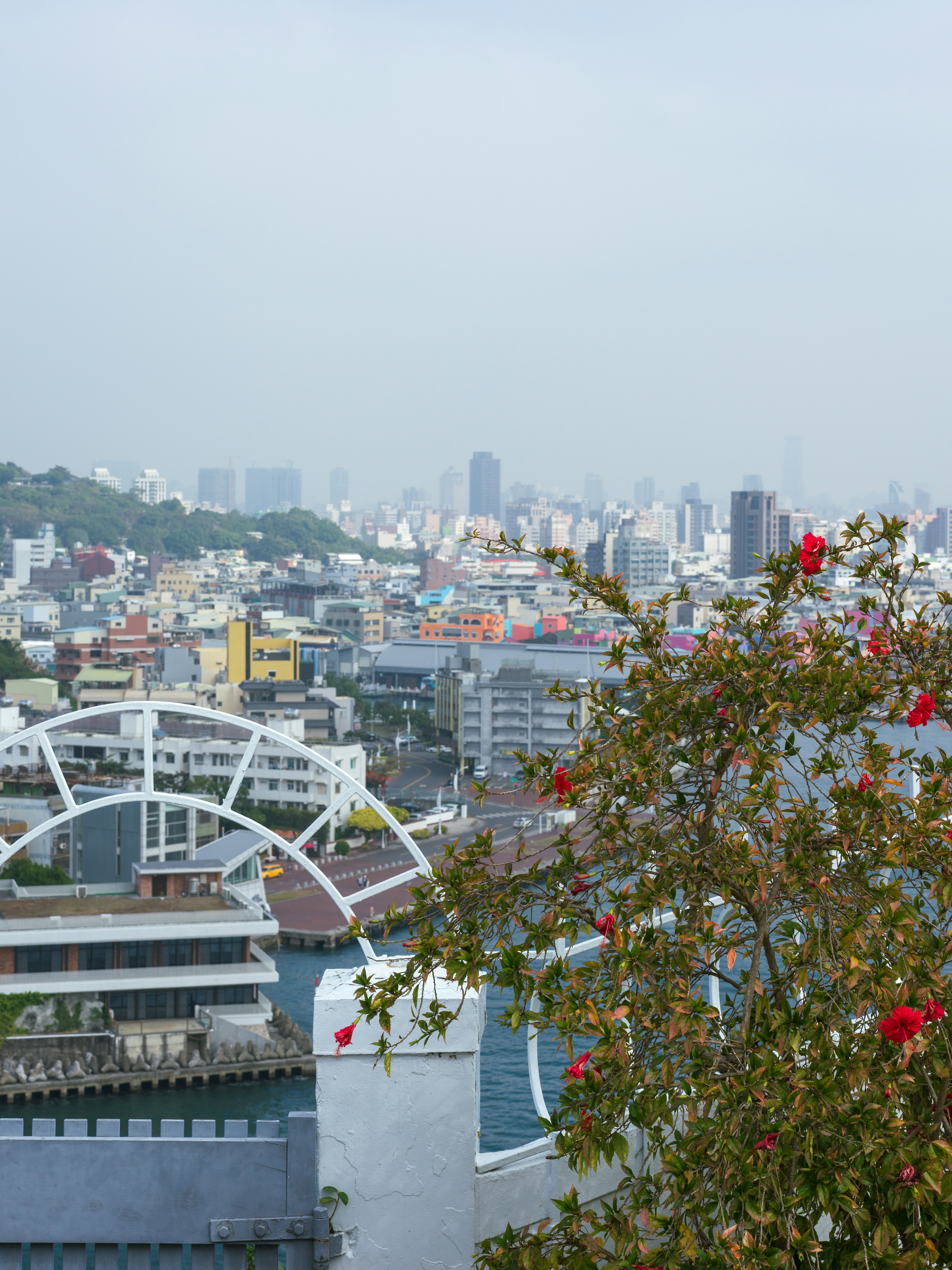 Urban Overlook with Floral Foreground and Cityscape
