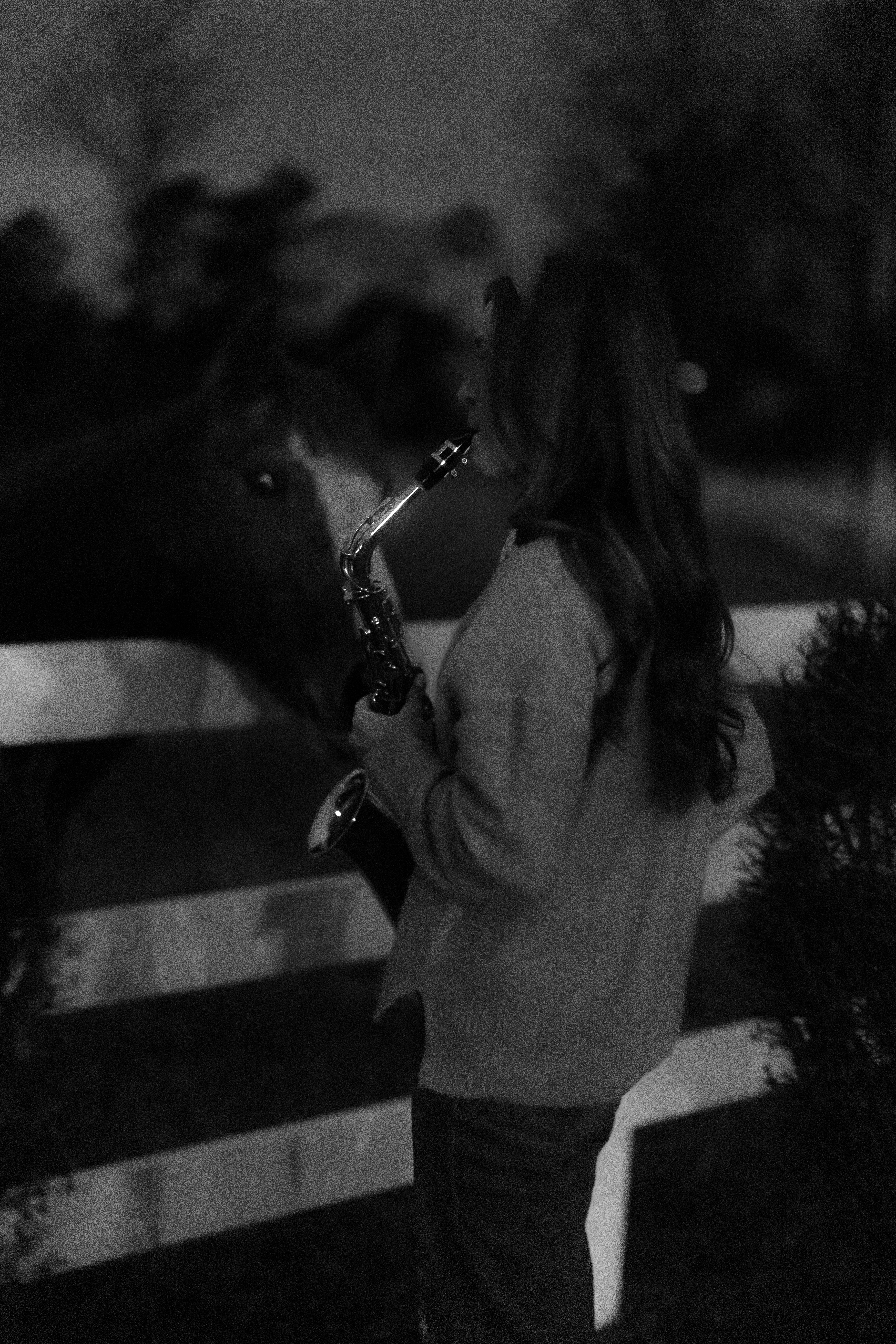 Harmonics in the Pasture: A Moment with the Saxophone and Stallion