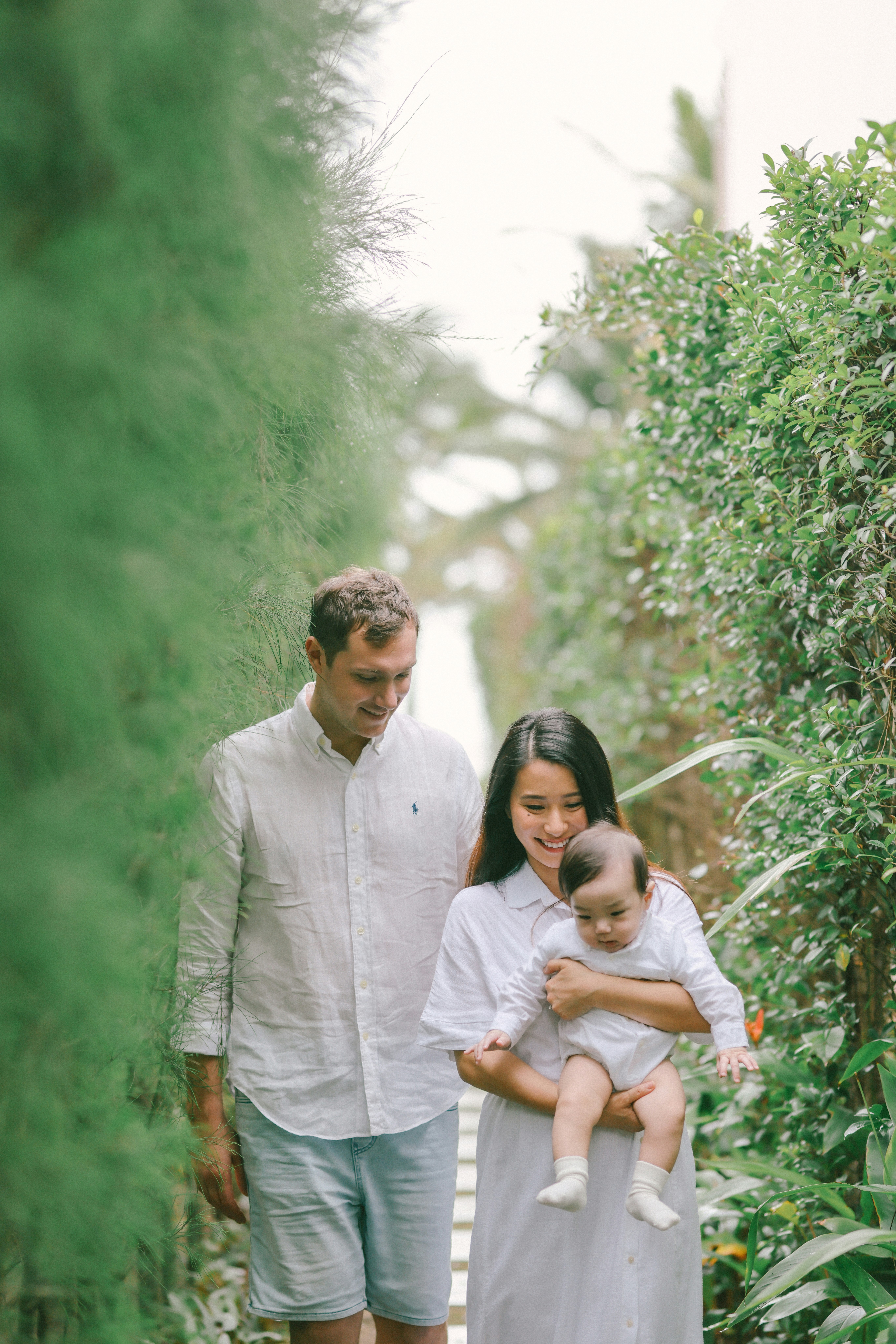 Sunlit Moment: A Family Walk Between Green Walls