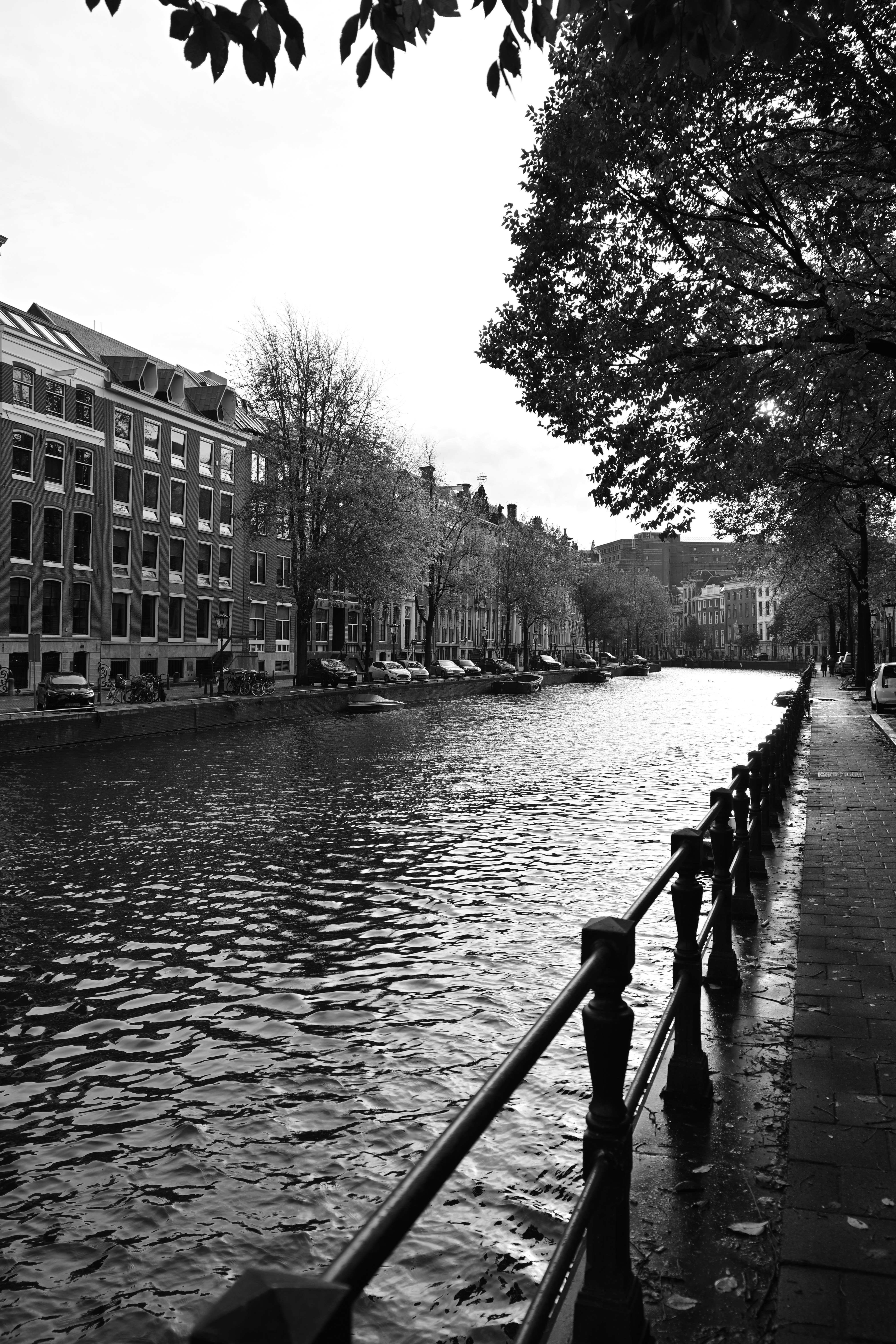 Escena del canal en blanco y negro con edificios y árboles foto ...