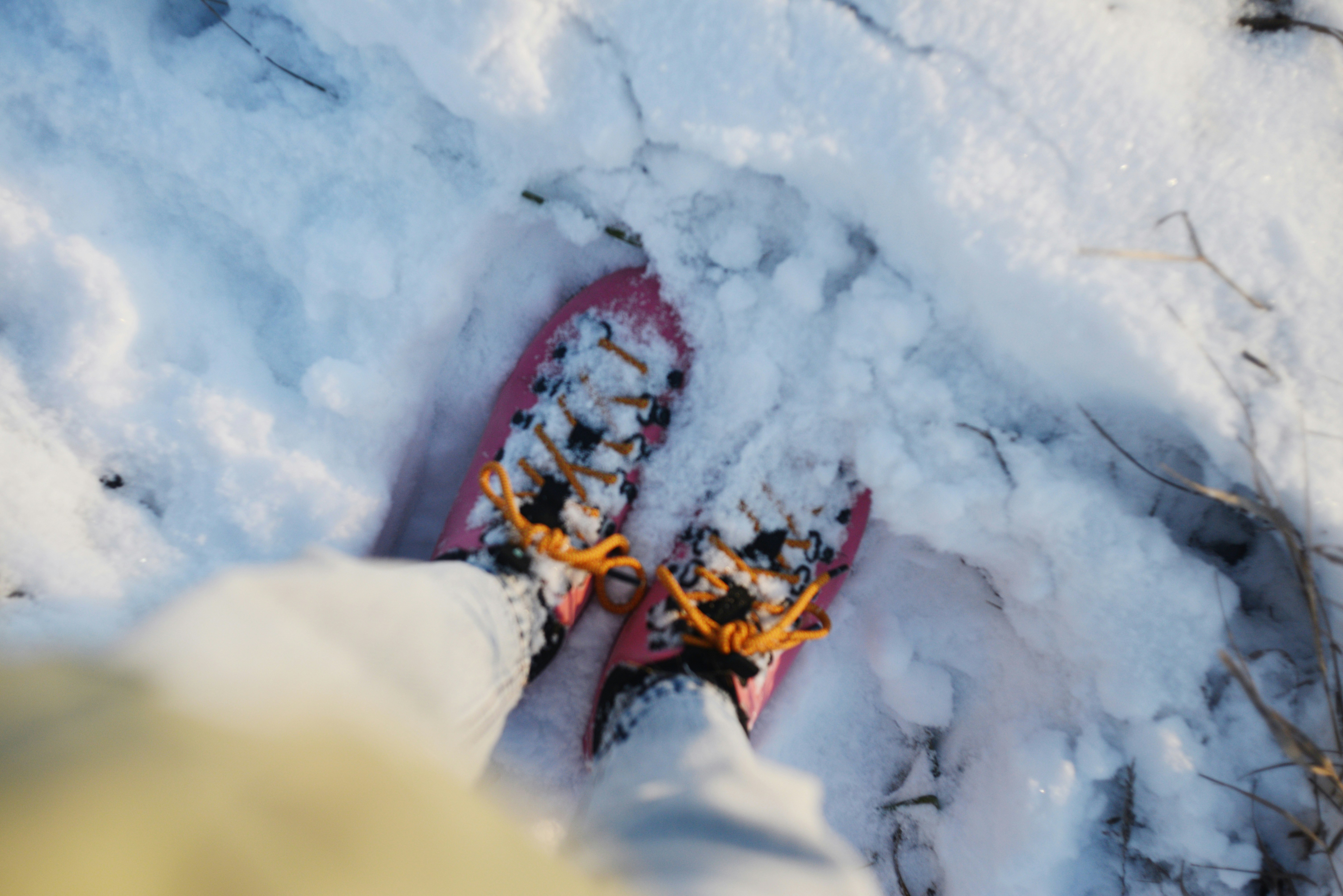 Snowbound Summit: Climbing Shoes Grounded in Fresh Powder