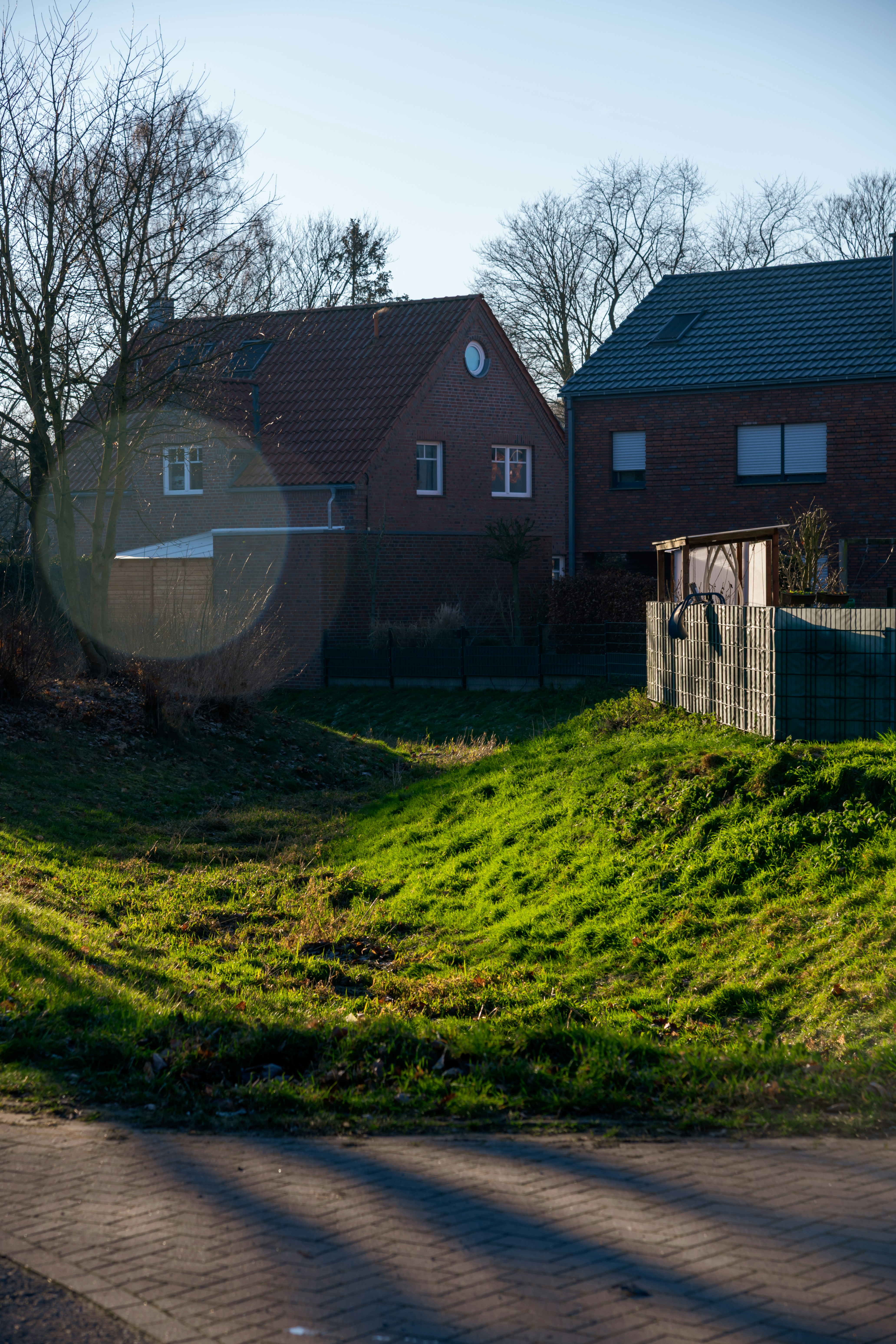 Suburban Yard and Houses in Soft Afternoon Light