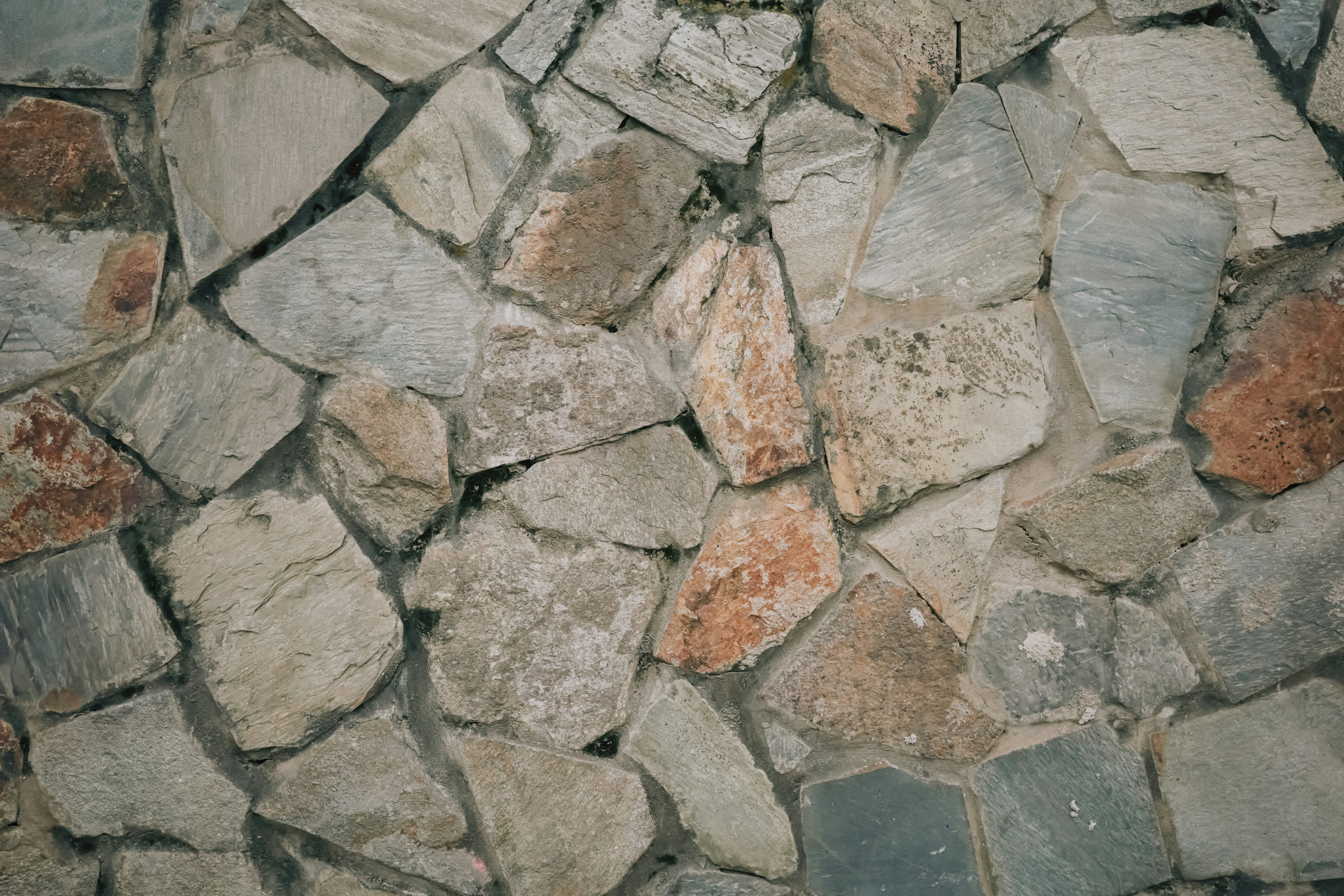 Quiet Mosaic: A Stone Wall’s Subtle Tells