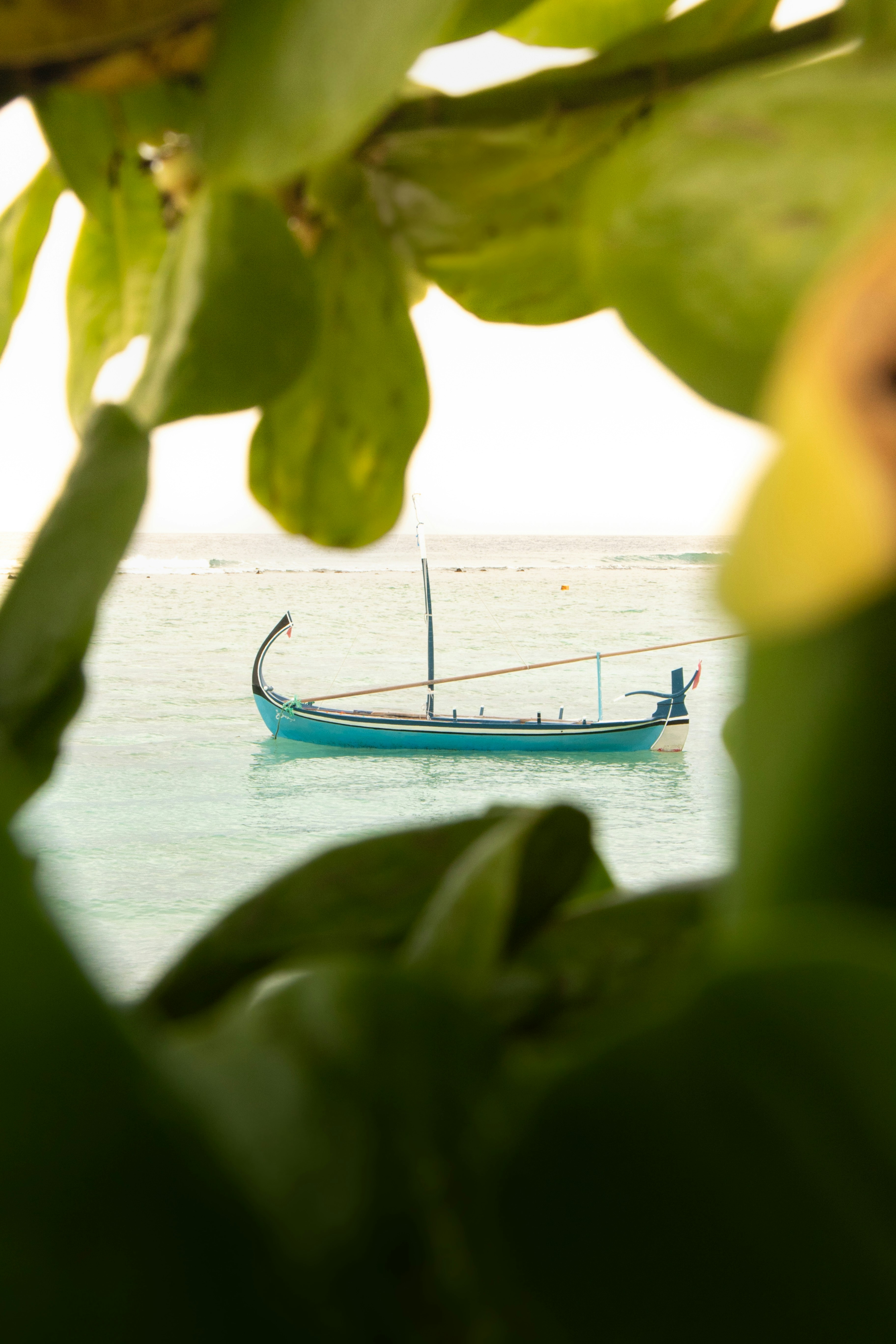 Azure Boat afloat in a turquoise lagoon framed by lush green foliage