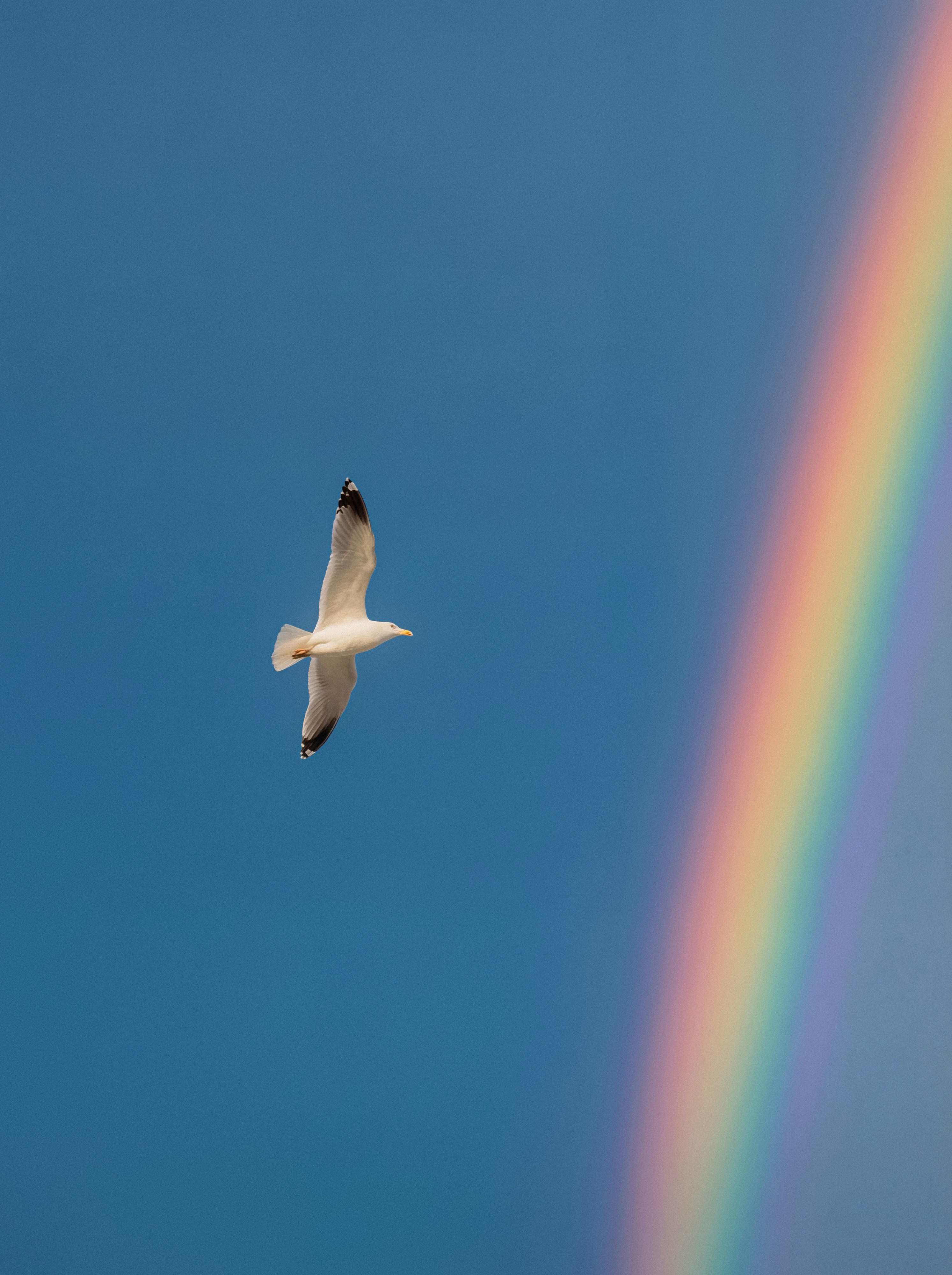 Photo by Maximus Mazar with Nikon Zf